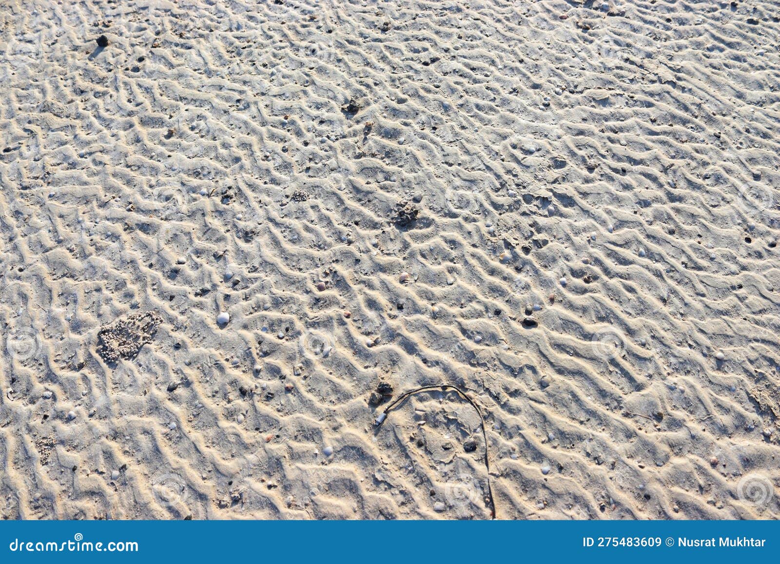 Wave Ripples on Sealine Beach, Stock Image - Image of rock, blurred ...