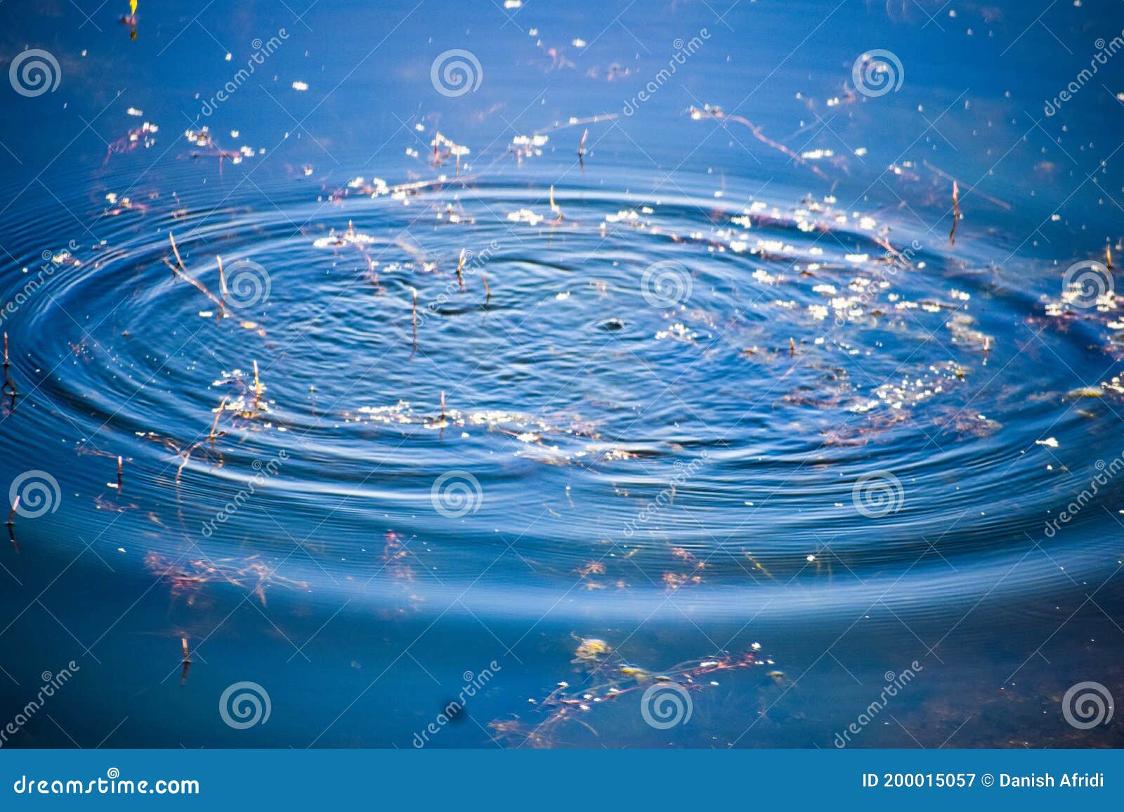 Wave in the River at the Forest Stock Image - Image of freezing, water ...