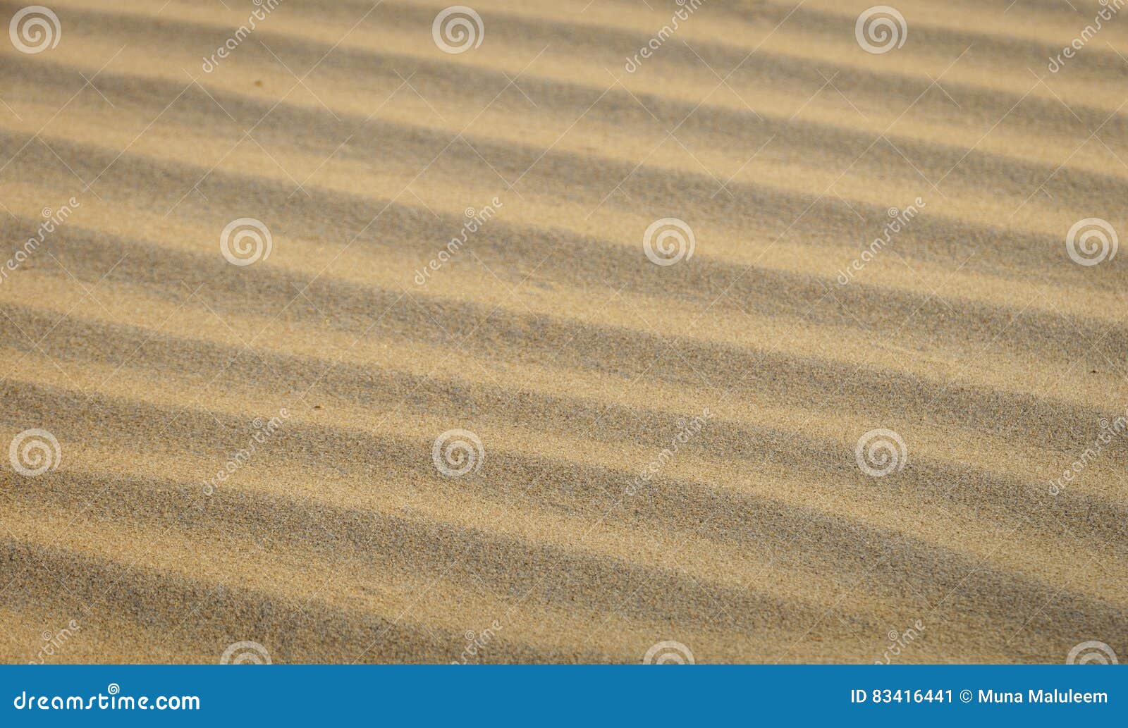 Wave Sand of Shadow and Light Stock Image - Image of travel, curved ...
