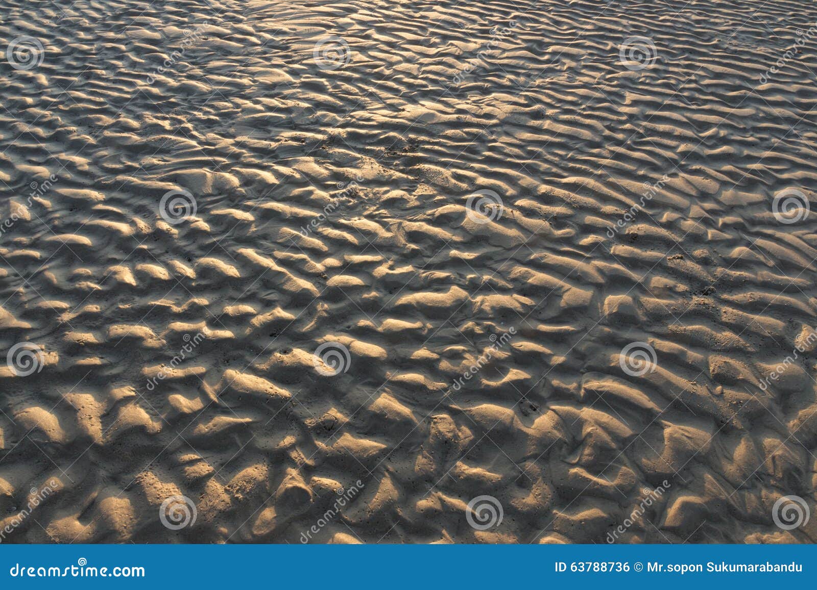 Wave of sand stock photo. Image of pattern, coast, sunlight - 63788736