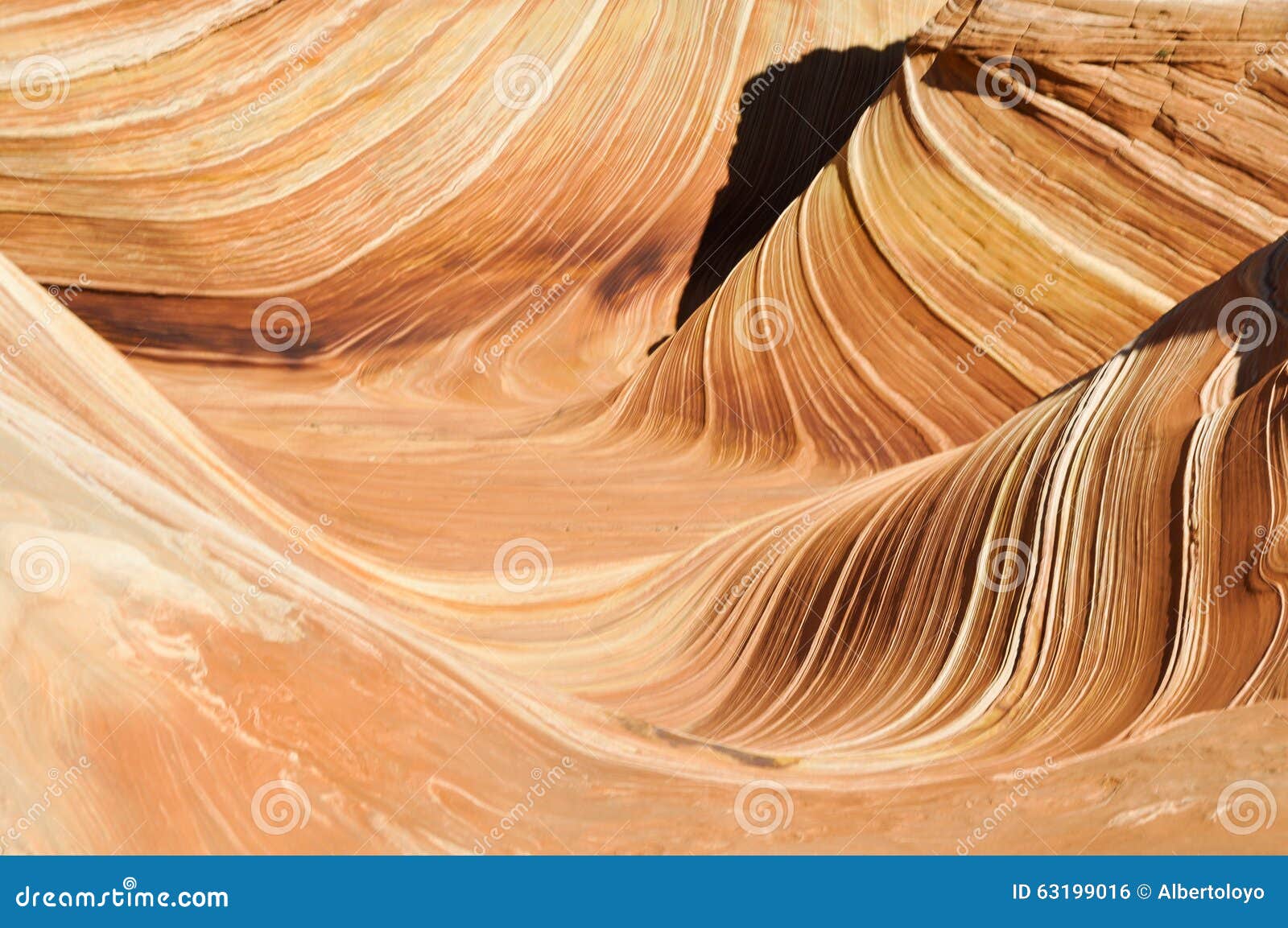 The Wave, Sandstone in Coyote Buttes North (Arizona) Stock Photo ...