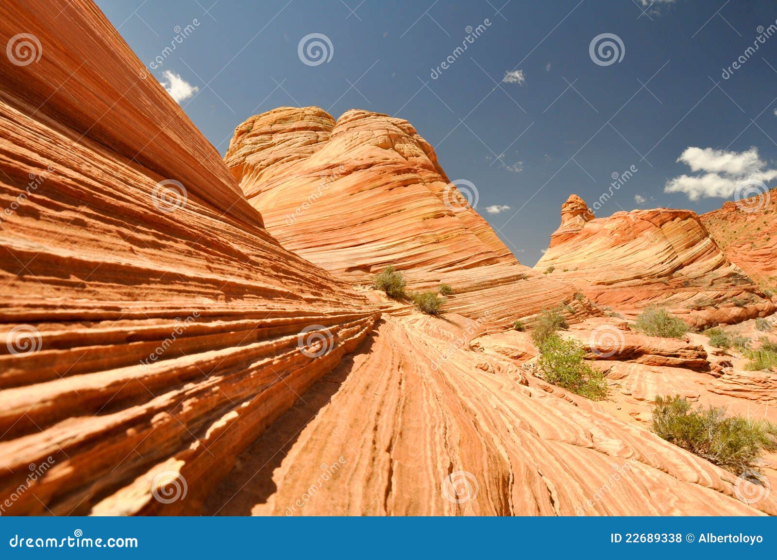 The Wave, Sandstone Curve (Arizona) Stock Photo - Image of outdoor ...