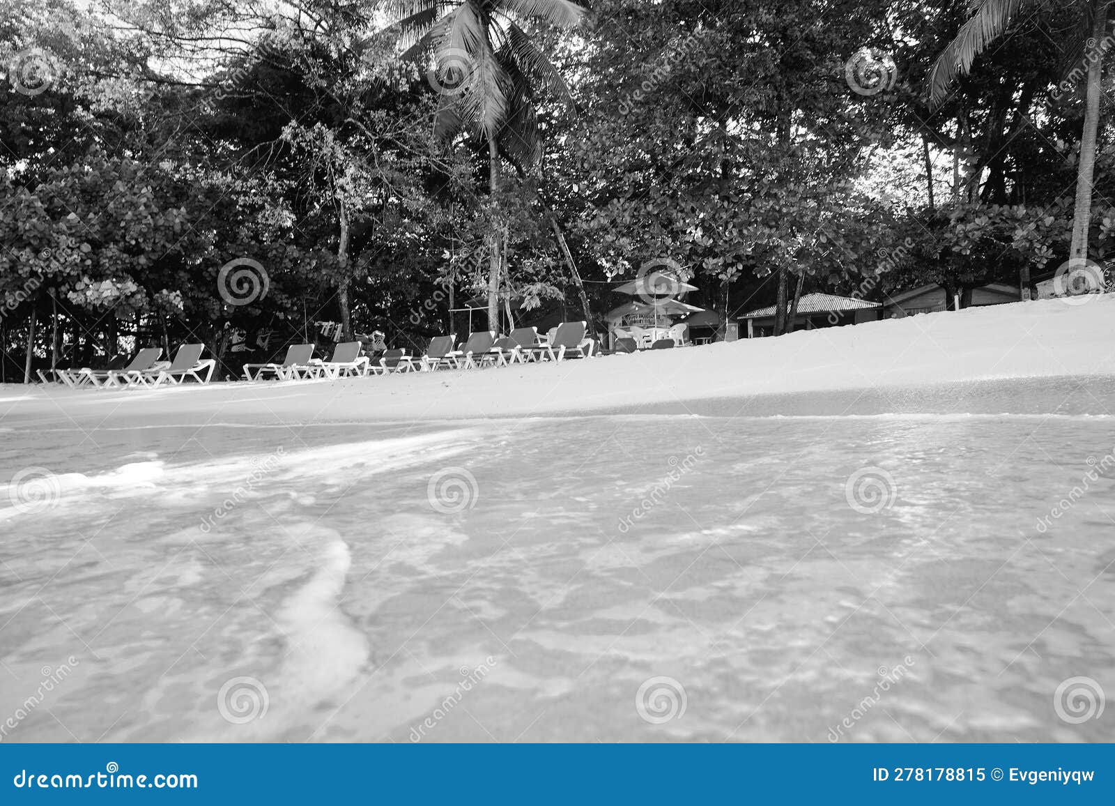 Wave on Sandy Beach. Background. Splash of Waves on the Sandy Beach ...