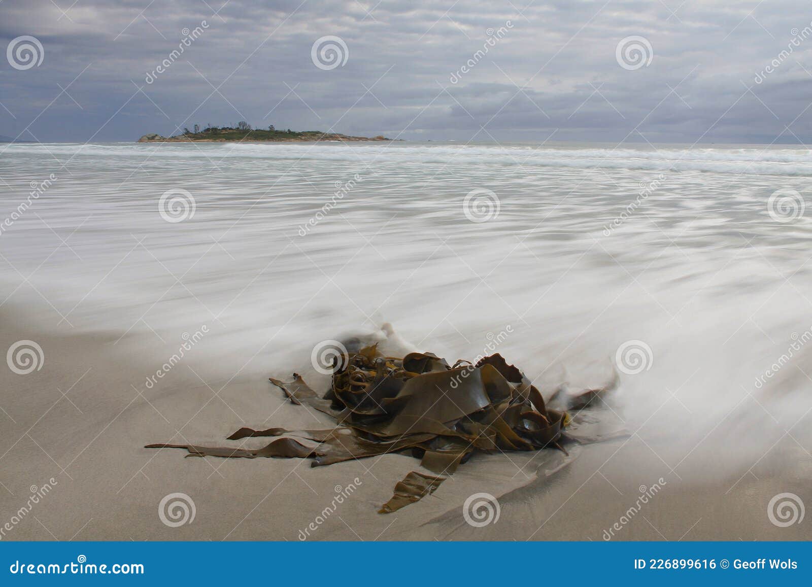 Wave and Seaweed on Beach Near Bicheno in Tasmania Stock Photo - Image ...