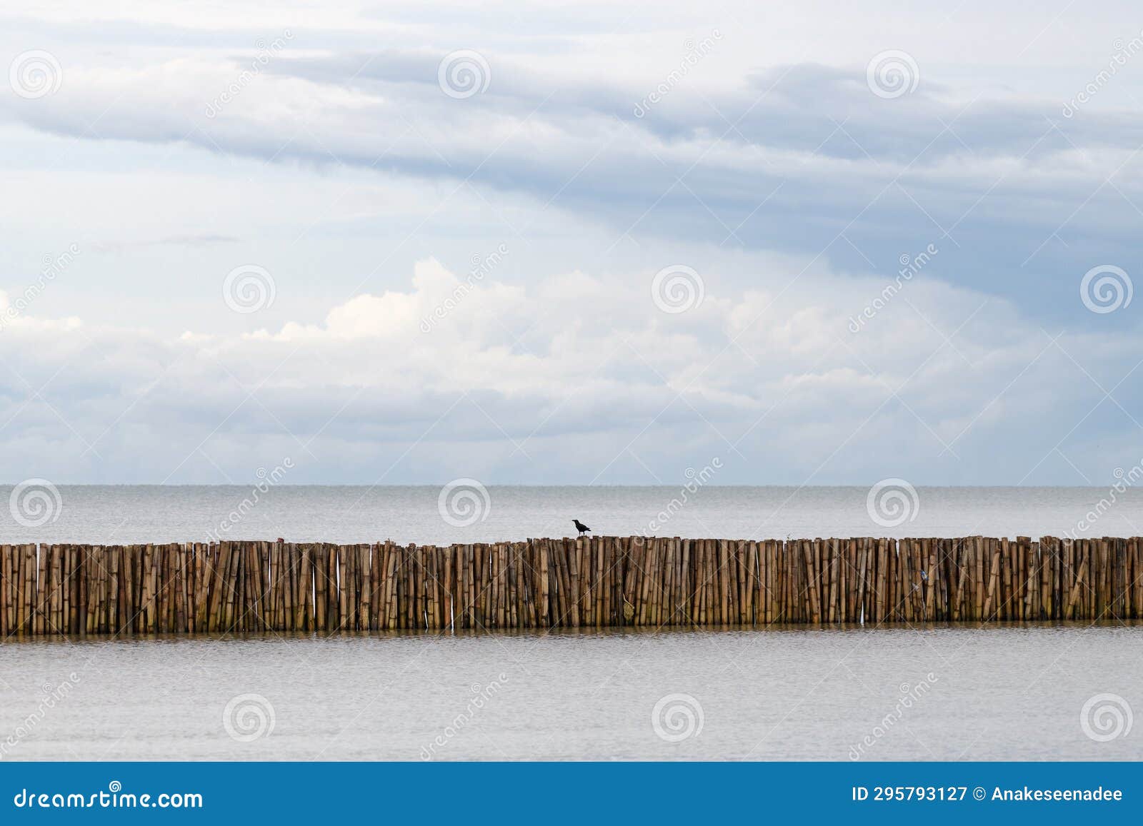 Wave Shields in the Sea Made of Bamboo Stock Image - Image of natural ...