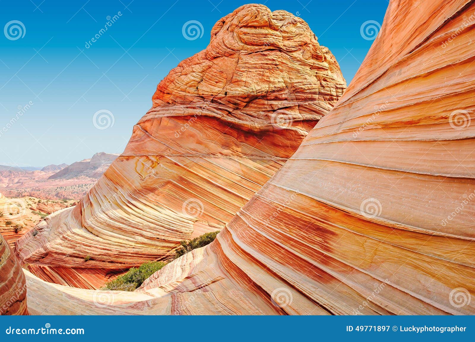 The Wave, Southwest, Arizona - Utah Stock Image - Image of vermilion ... The Wave, Southwest, Arizona - Utah Stock Image - Image of vermilion ...