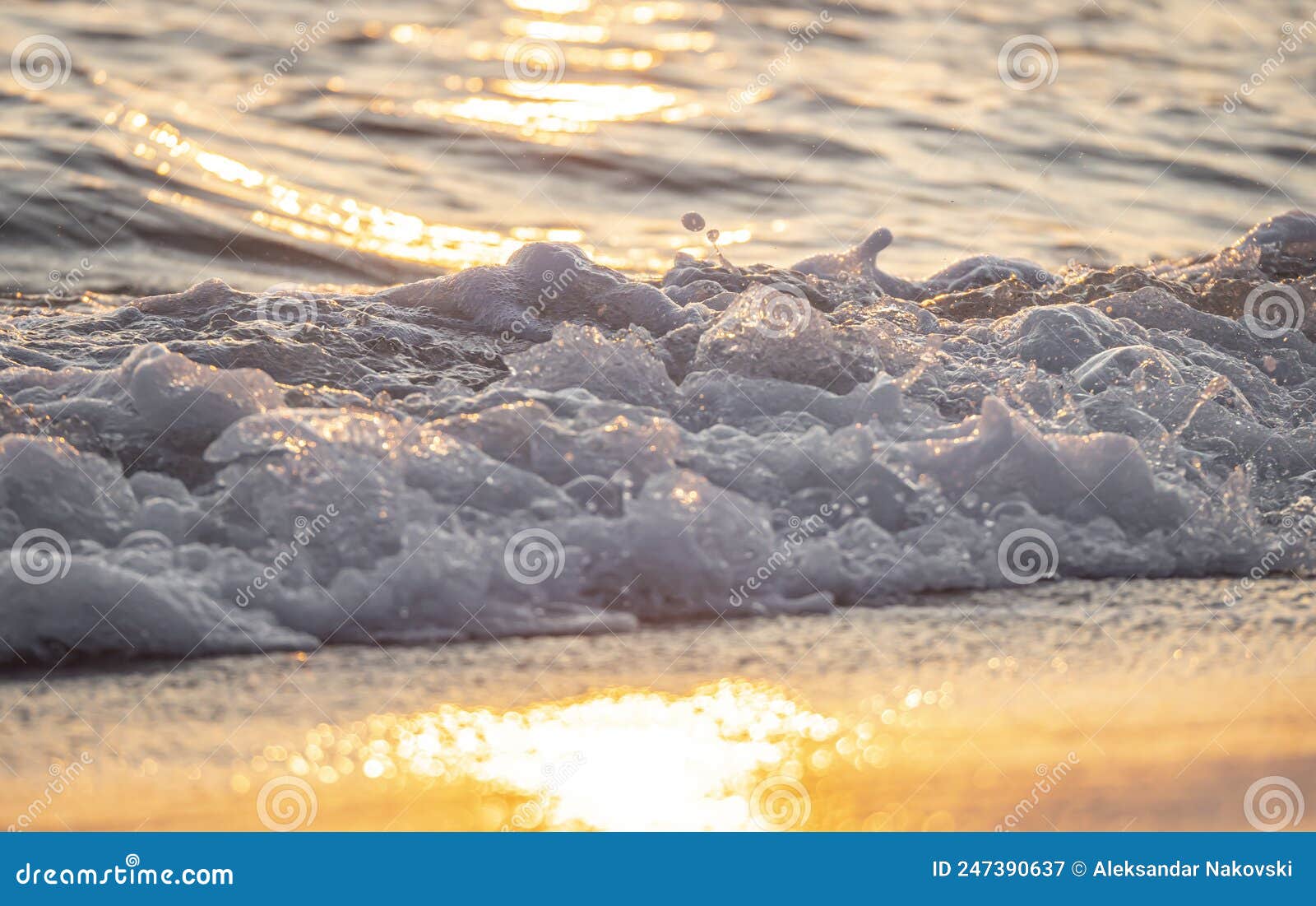 Wave Splash Sea Beach Macro Stock Image - Image of shore, scenic: 247390637