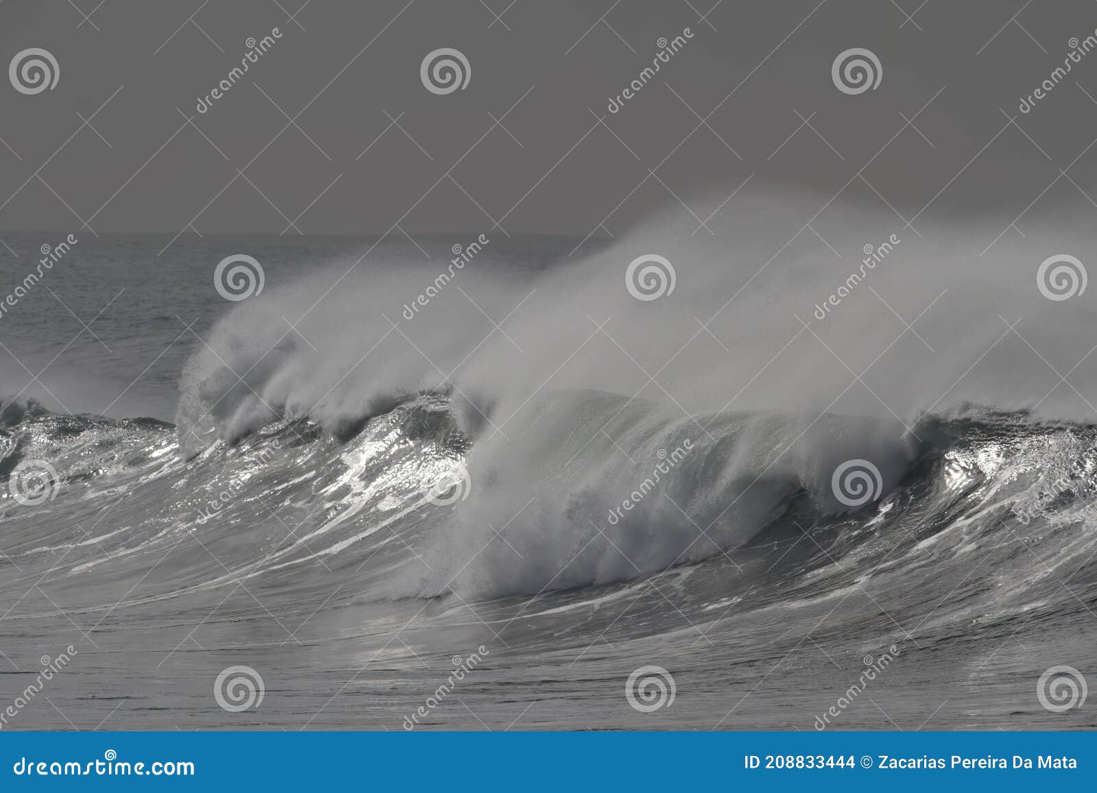 Wave with spray stock photo. Image of weather, waves - 208833444