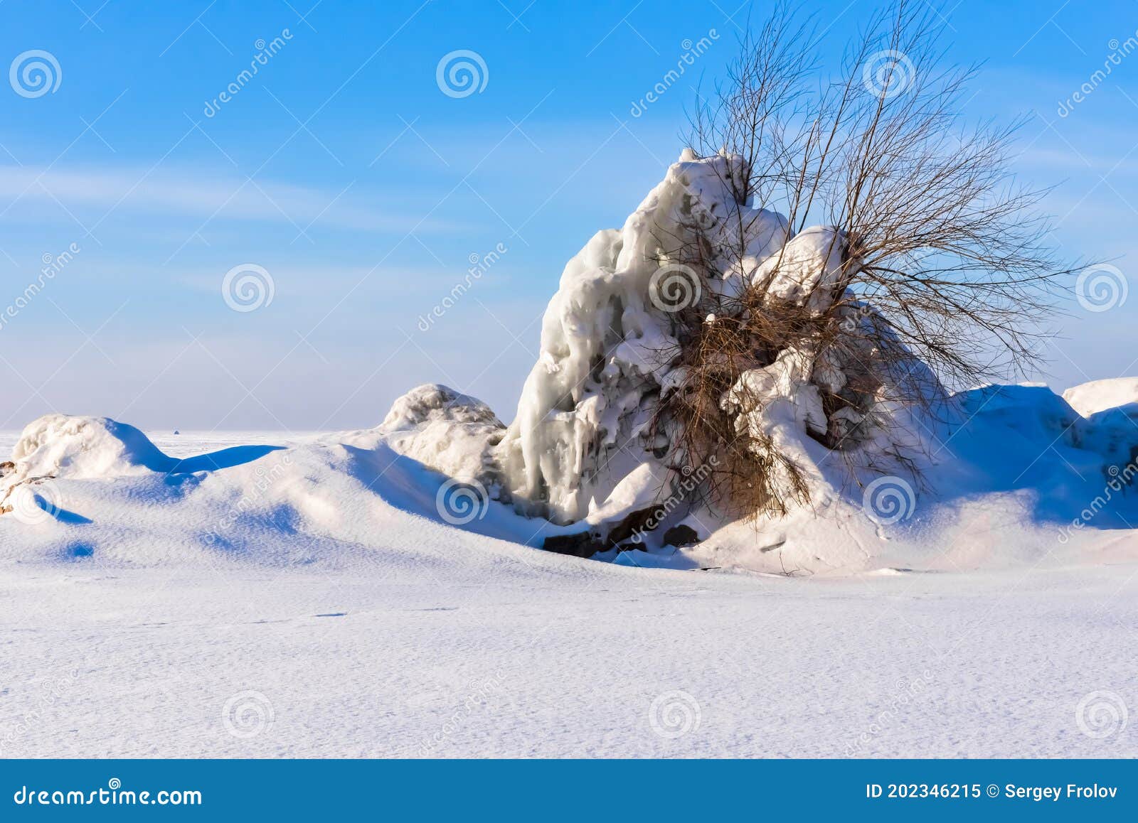 A Wave Stopped by a Tree and Turned To Ice in Winter Stock Image ...