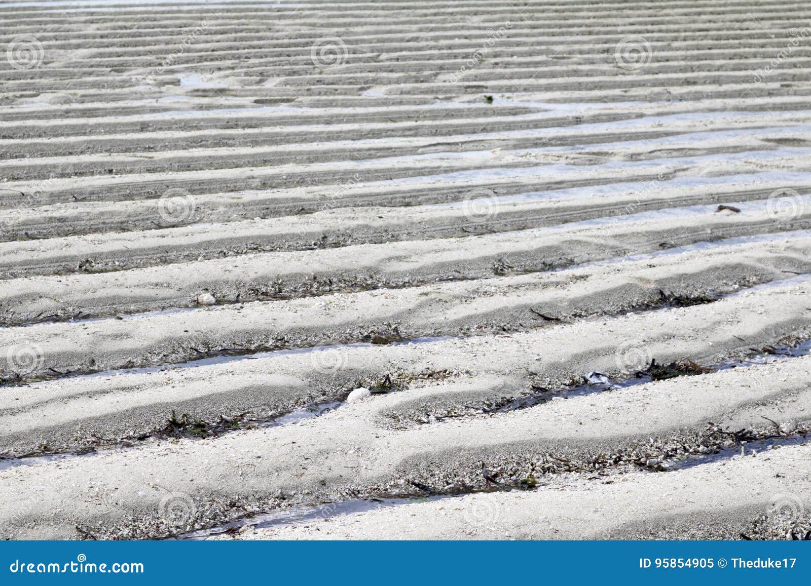 Structure Of The Sand Stock Photo | CartoonDealer.com #38956998