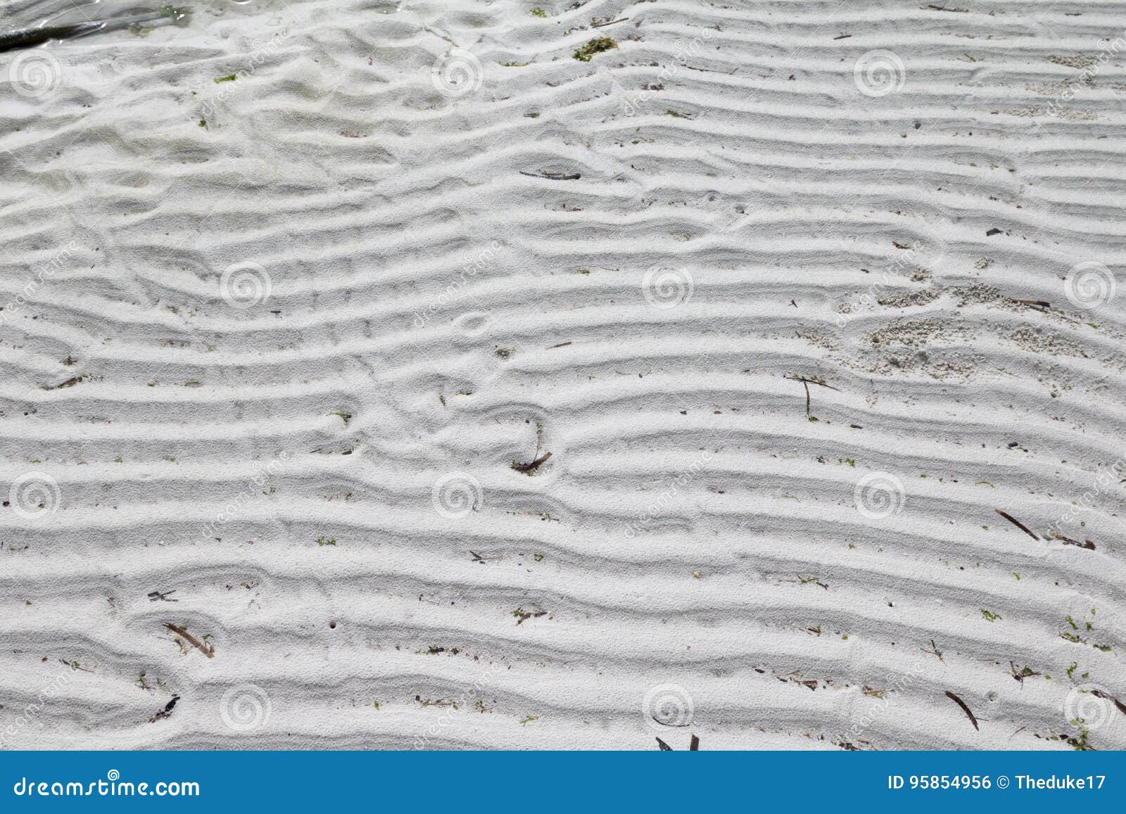 Structure Of The Sand Stock Photo | CartoonDealer.com #38956998