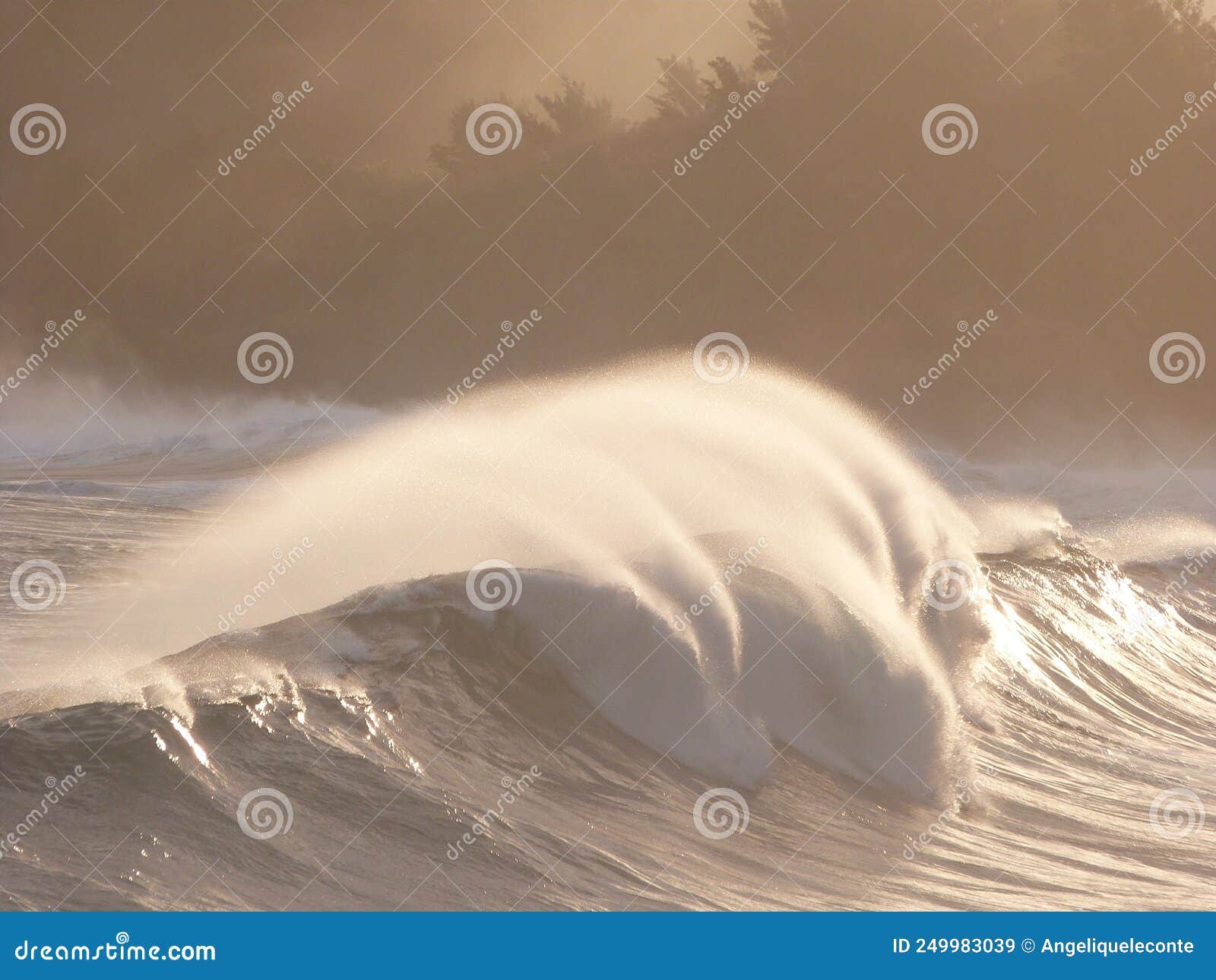 Roll in the wind stock image. Image of sunlight, grand - 249983039