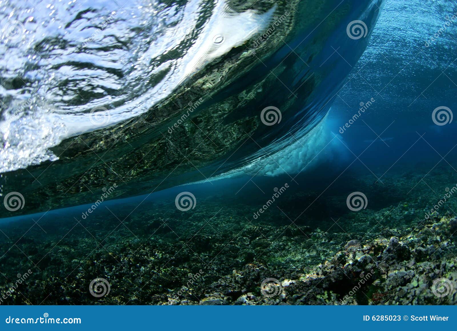 Bareel Stock Photos - Free & Royalty-Free Stock Photos from Dreamstime