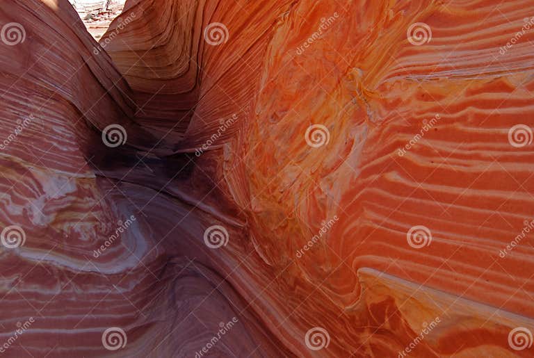 The Wave, Utah stock photo. Image of striations, rock - 12271424