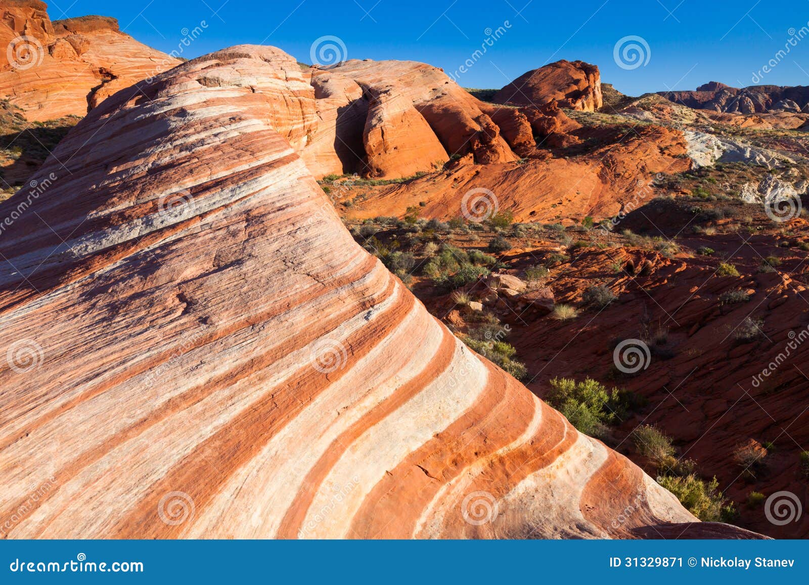 The Wave stock image. Image of bush, green, stone, southwest - 31329871