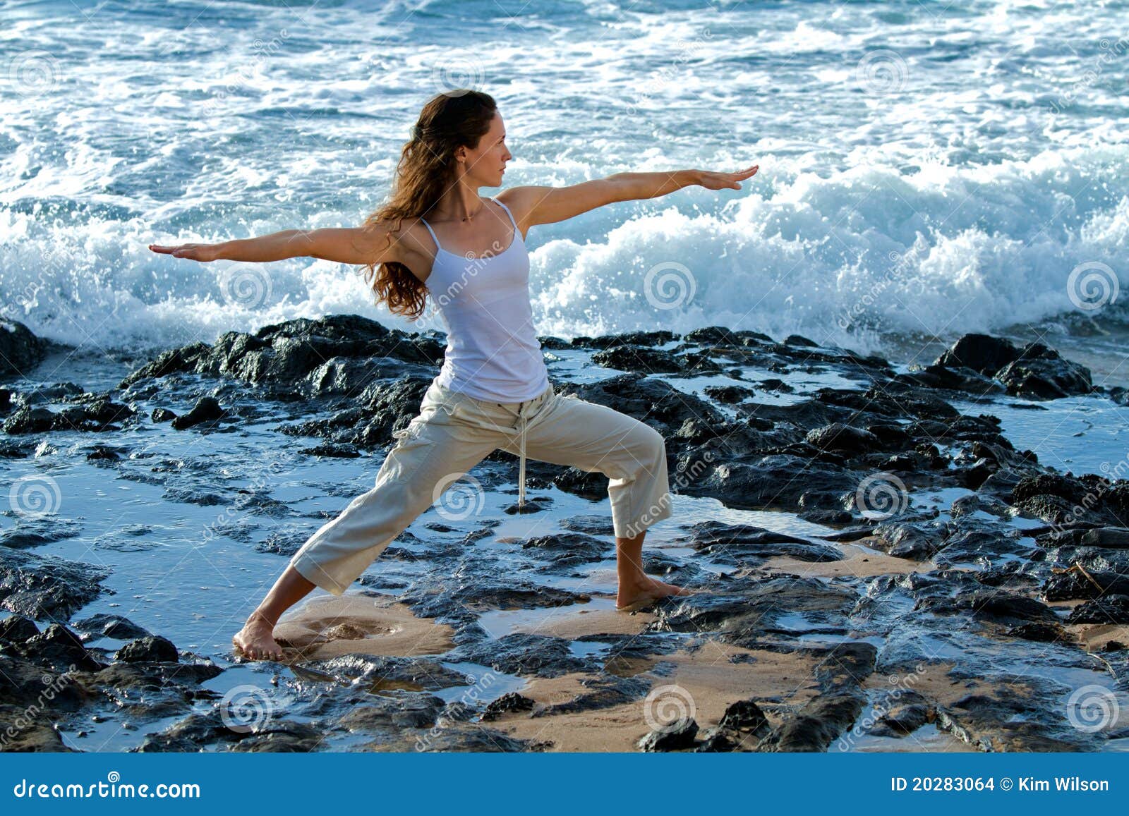 Wave Warrior stock photo. Image of hawaii, waves, daylight - 20283064