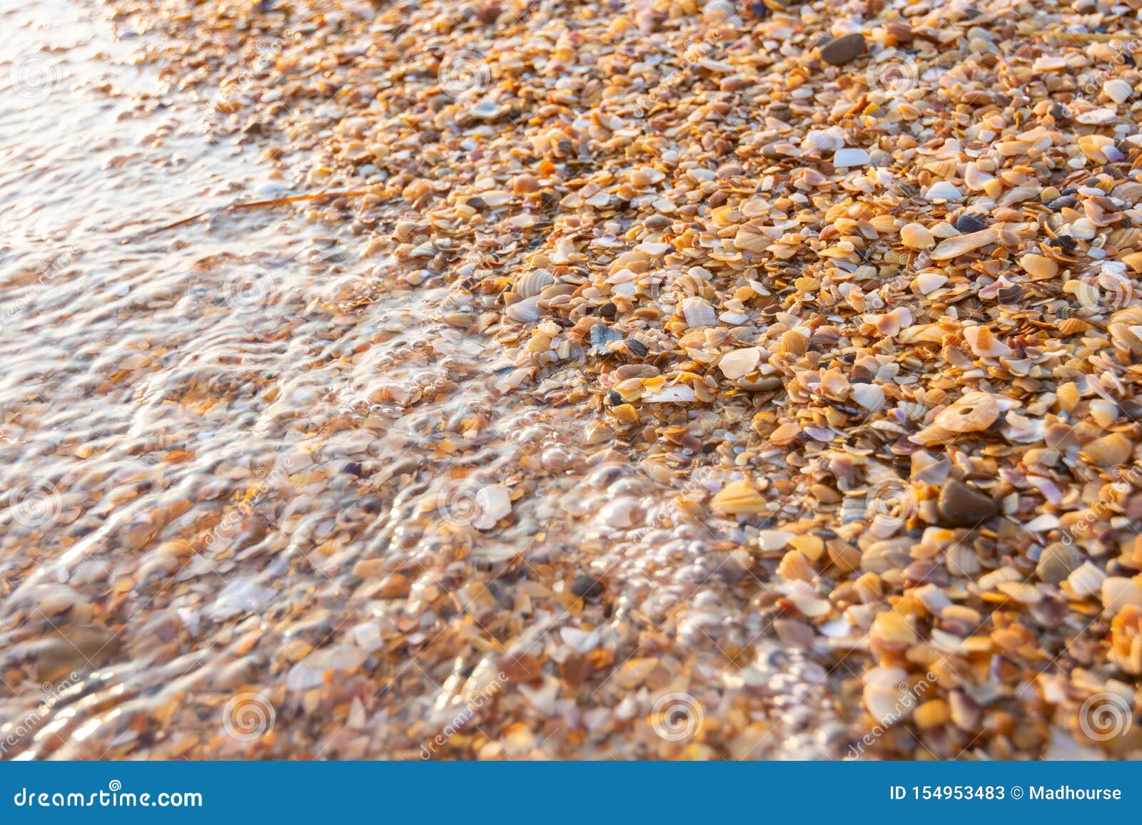 The Wave Washes Small Multi-colored Sea Shells on the Sea Beach Stock ...