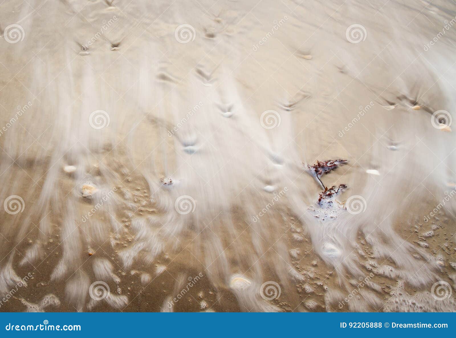Wave Washing Over Shells and Seaweed Stock Photo - Image of shore ...