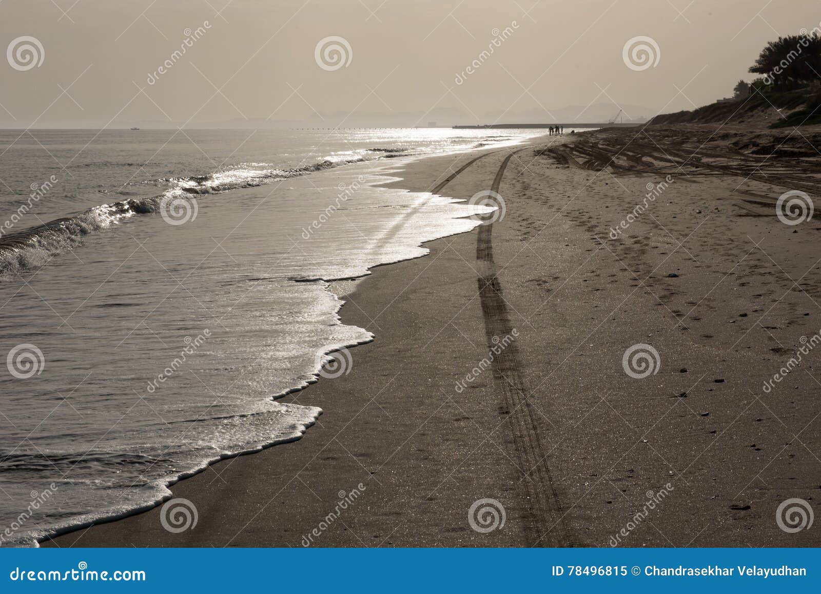 Wave Washing Over Tyre Marks on the Beach Stock Image - Image of beach ...