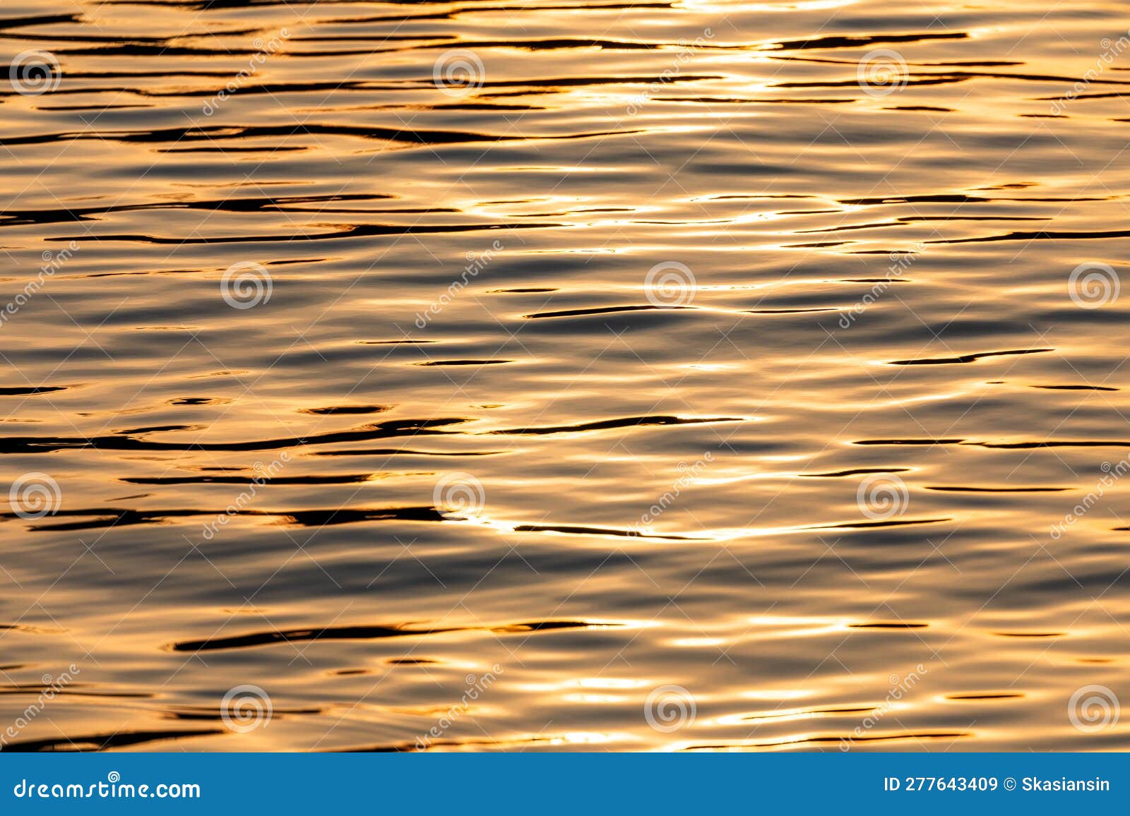 Wave on Water Surface with Reflecting Golden Sunlight Stock Image ...