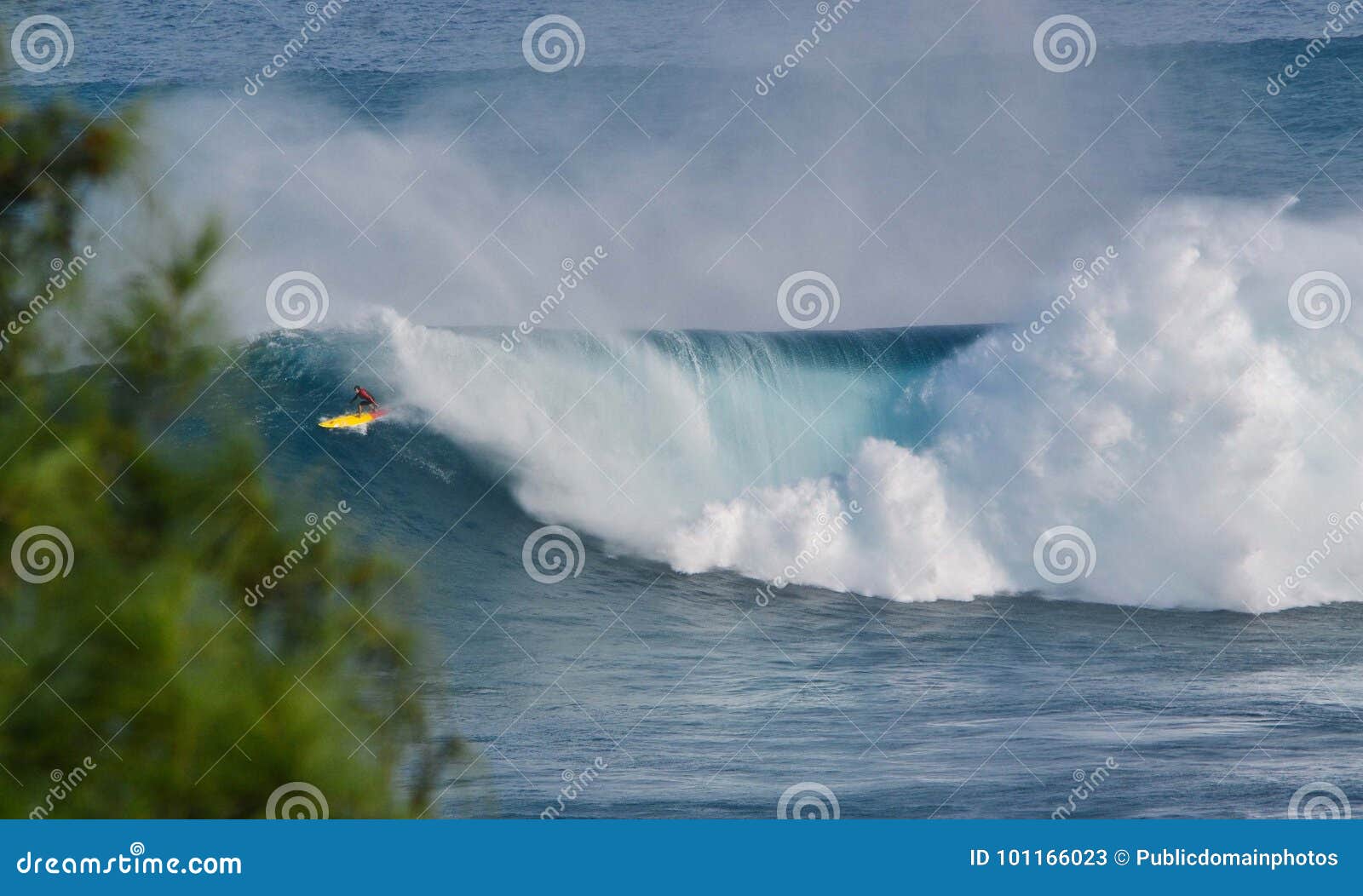 Wave, Wind Wave, Water, Ocean Picture. Image: 101166023