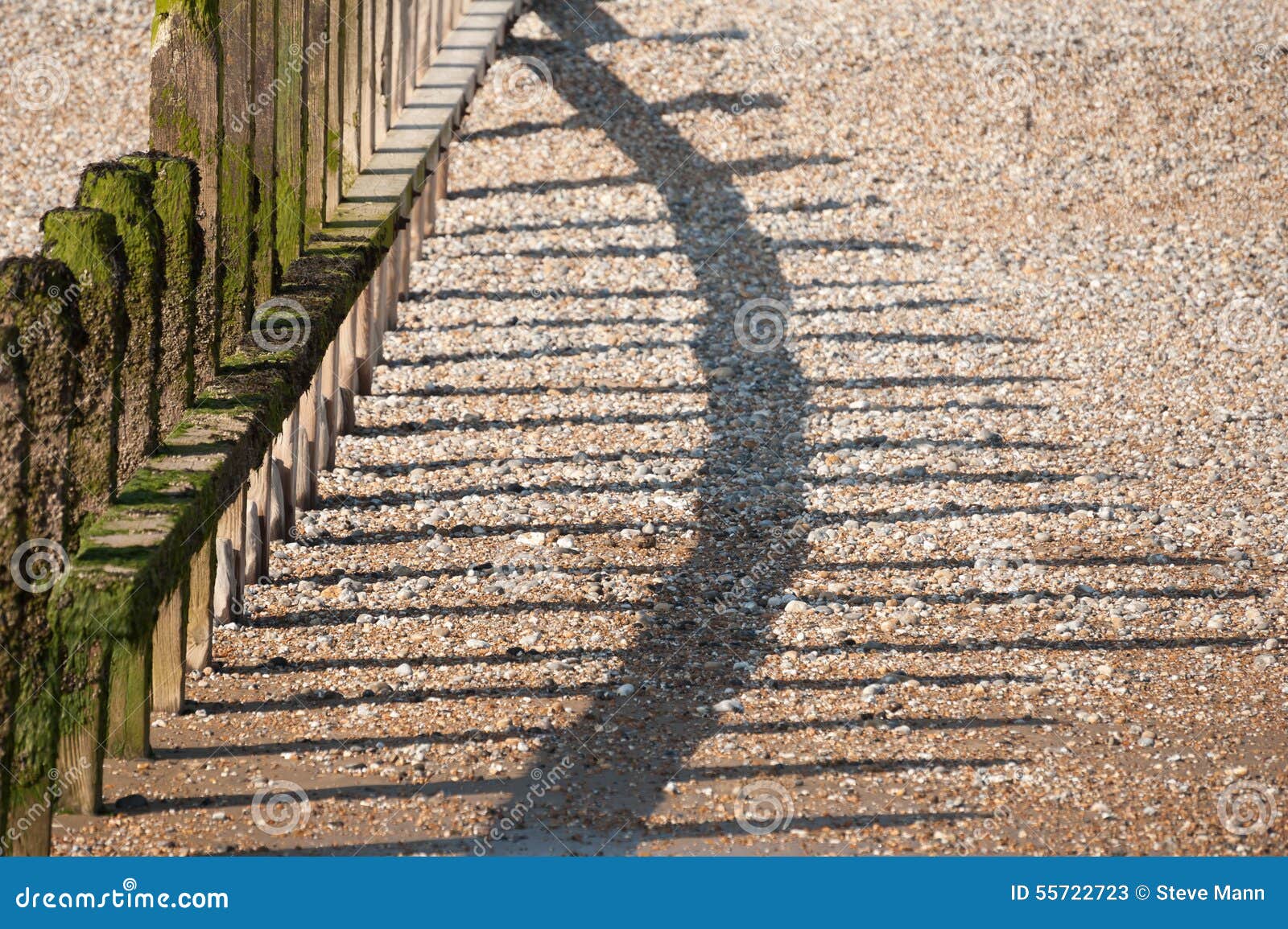 Wavebreak shadows stock image. Image of nature, coastline - 55722723