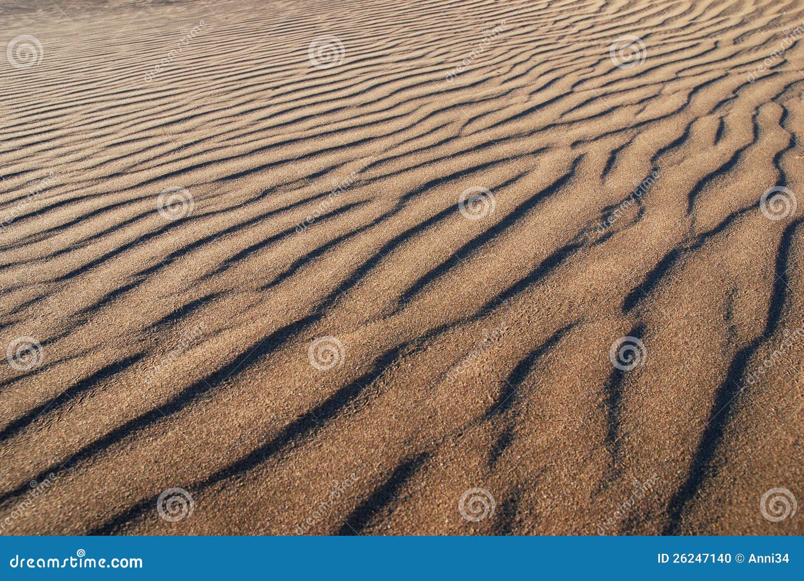 Waved lines stock photo. Image of wind, constant, sand - 26247140