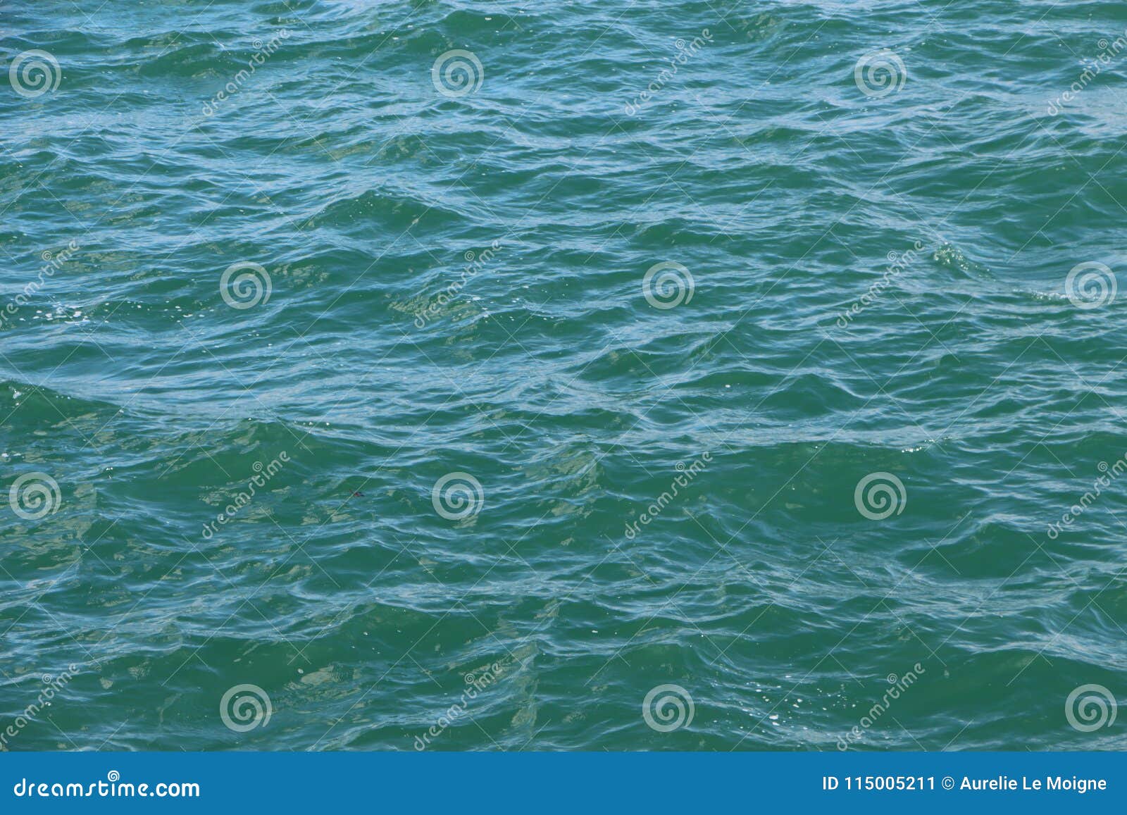 Wavelet on the sea stock image. Image of calm, seashore - 115005211