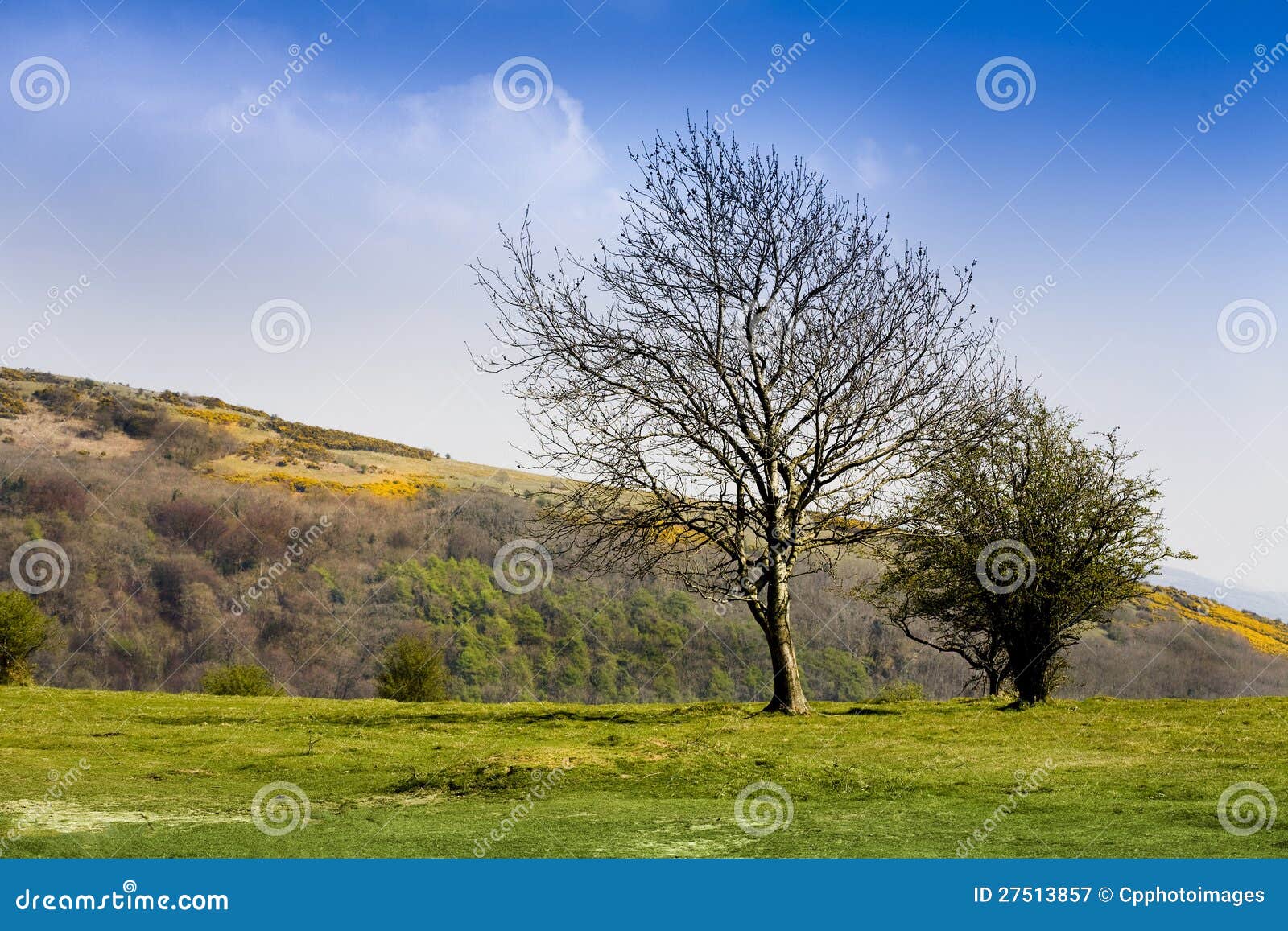 Wavering Down Somerset stock image. Image of somerset - 27513857