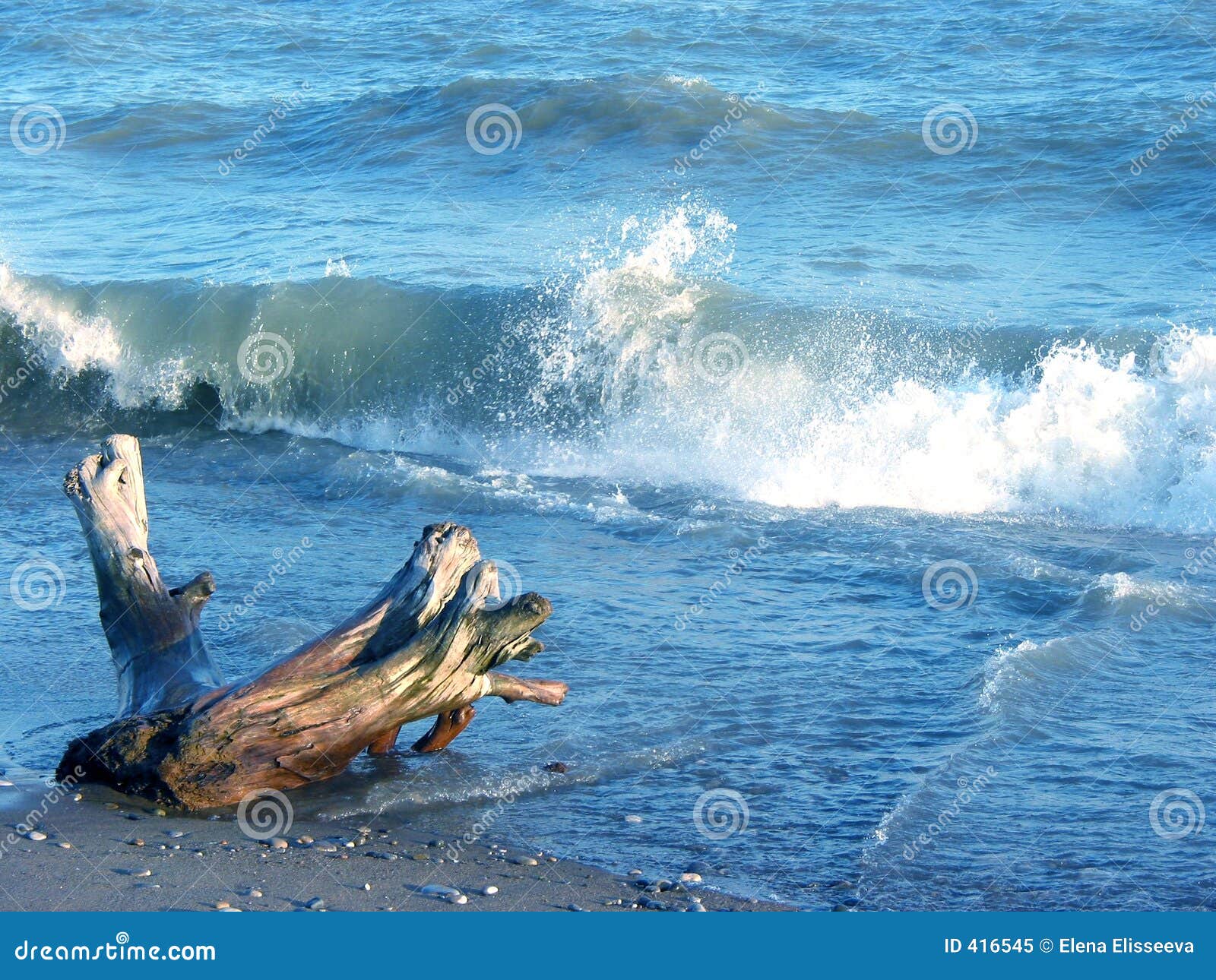 Waves stock image. Image of stump, nature, coast, water - 416545
