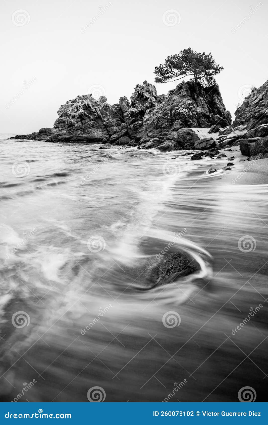 Silent Waves Under the Tree Stock Photo - Image of scenic, exotic ...