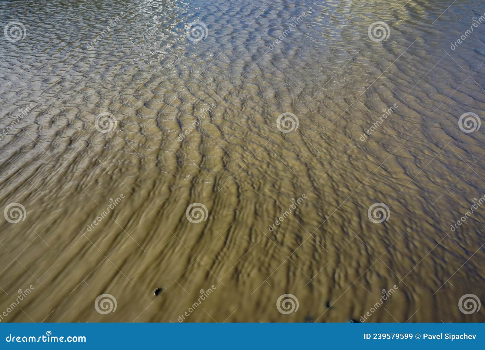 Waves on a big puddle stock image. Image of ripple, outdoor - 239579599
