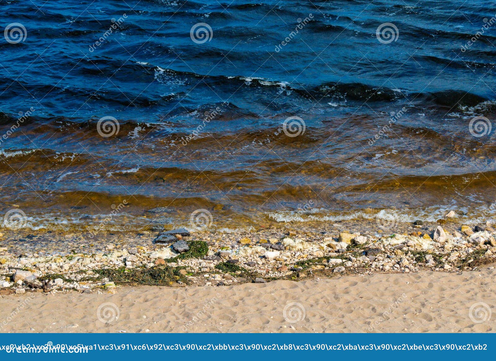 Waves break on the beach stock photo. Image of sand - 193138610