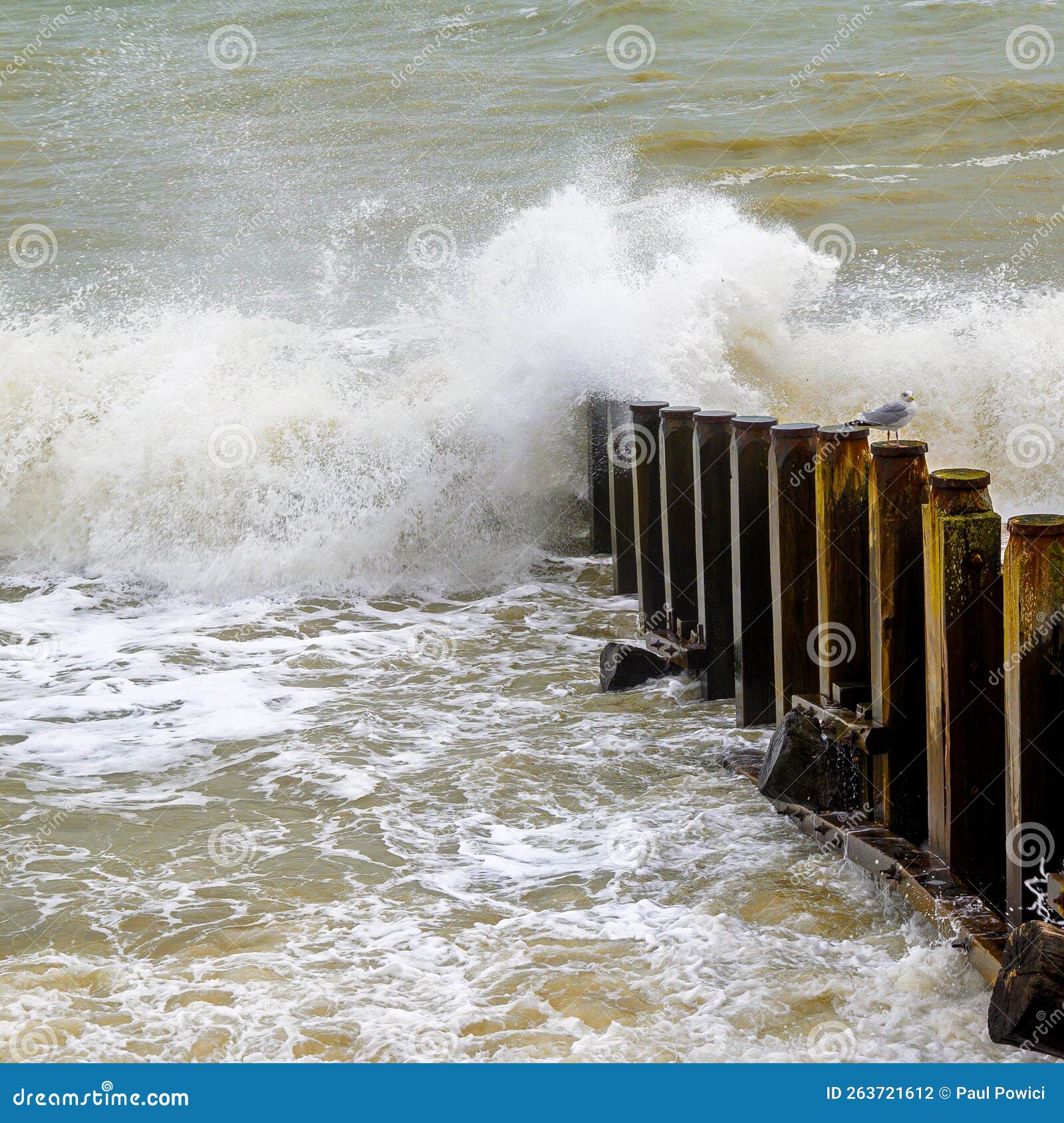 Waves Breaking Onto a Groyne Breakwater with a Seagull Sitting on a ...