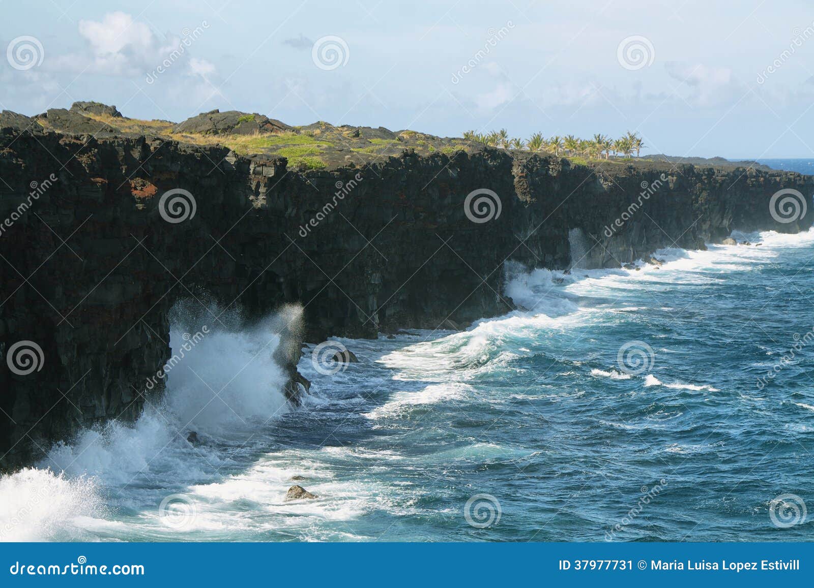 Waves Crash Along the Black Lava Rock Cliffs Stock Image - Image of ...