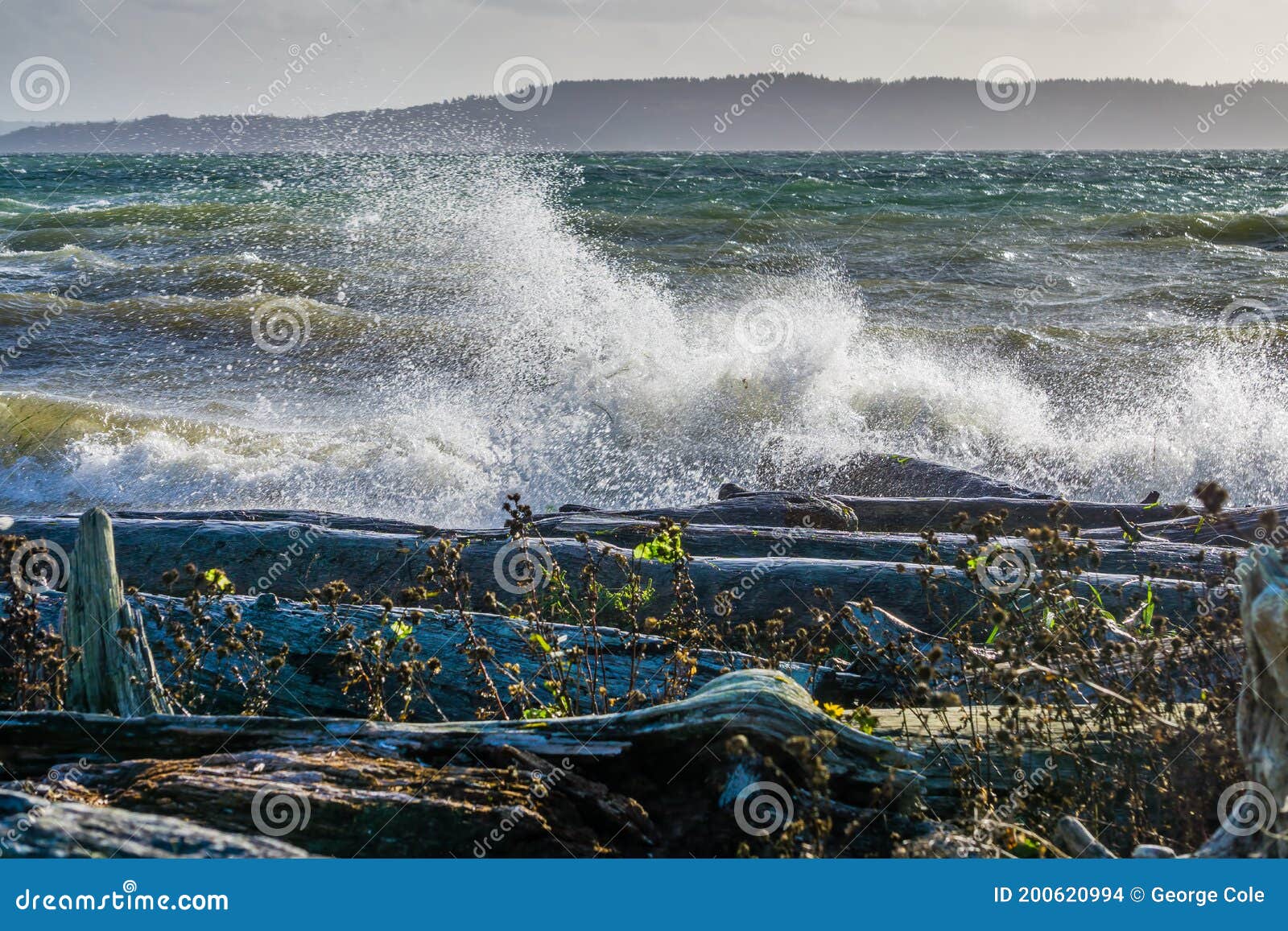 Windy Shoreline Waves 3 stock photo. Image of normandy - 200620994