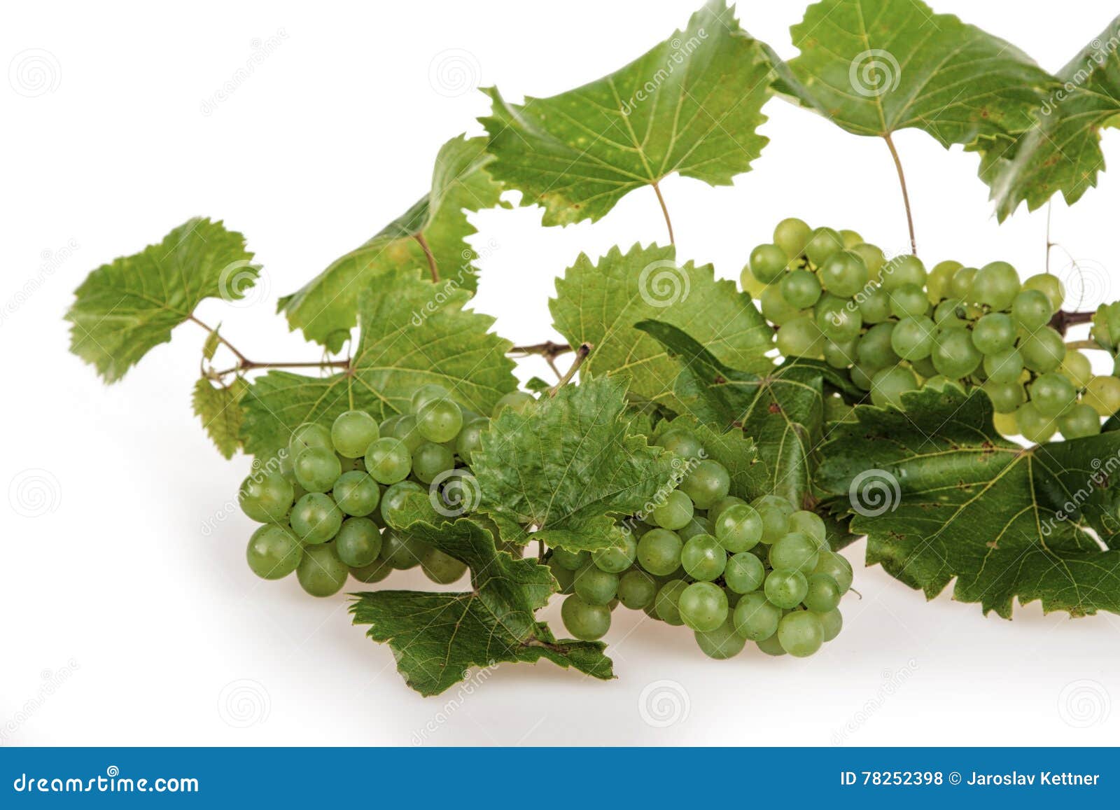 Waves stock photo. Image of fresh, chardonnay, colour - 78252398