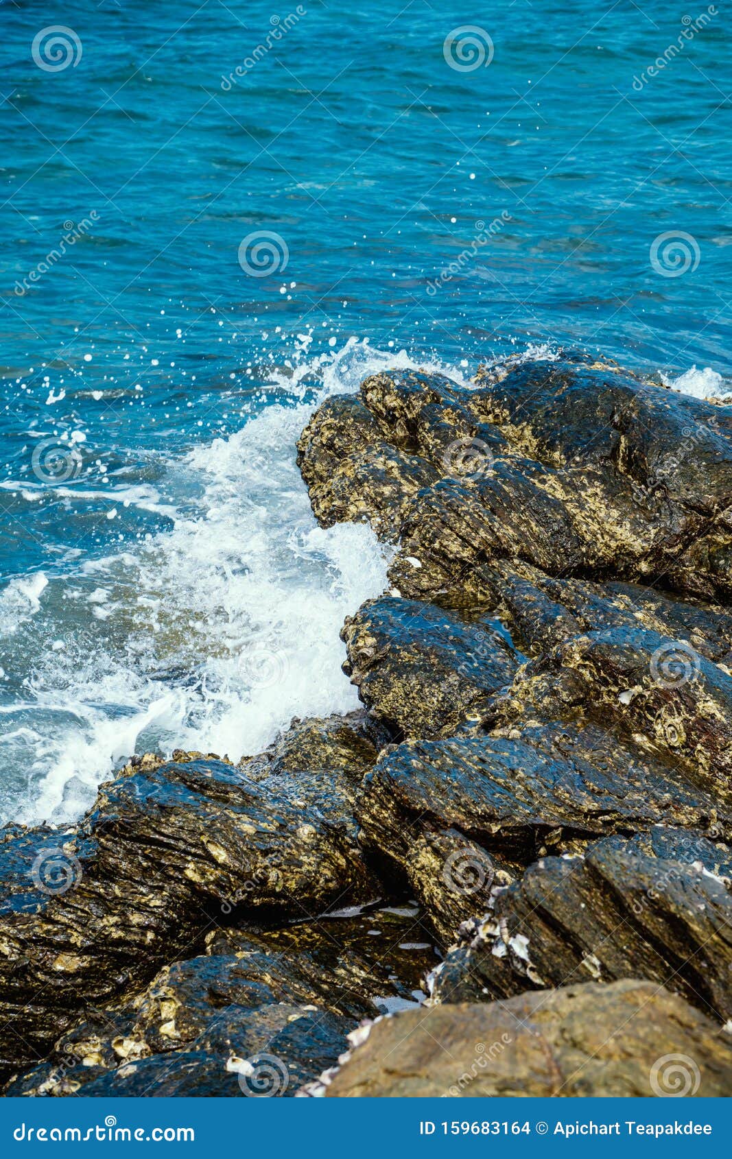 The waves hit the rocks stock photo. Image of dusk, sunset - 159683164