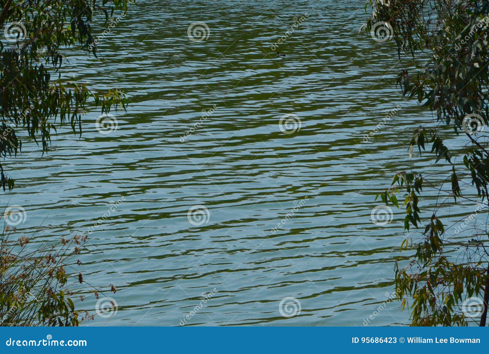 Waves in the Lake stock image. Image of waves, water - 95686423