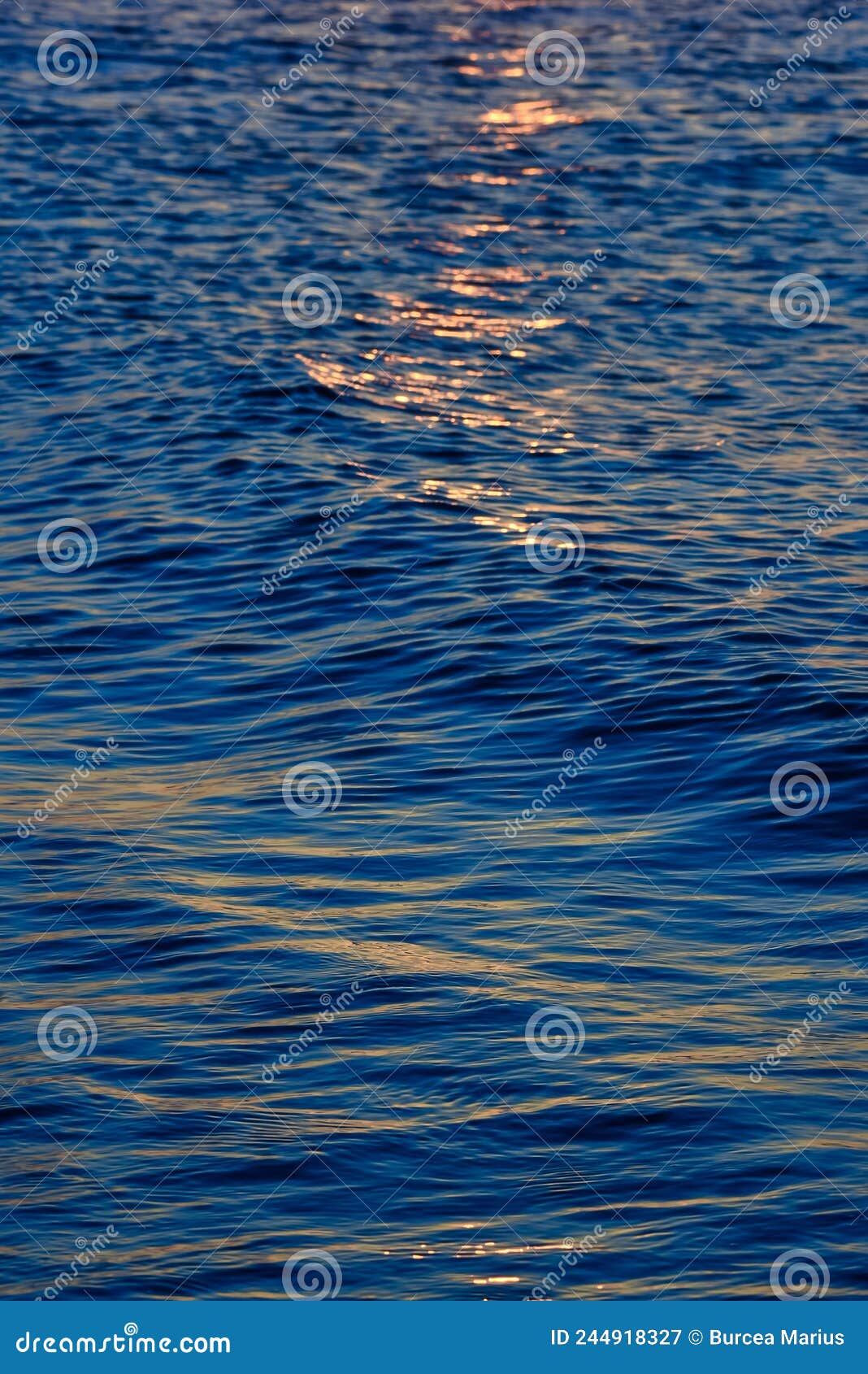 Waves on the lake stock image. Image of light, marine - 244918327