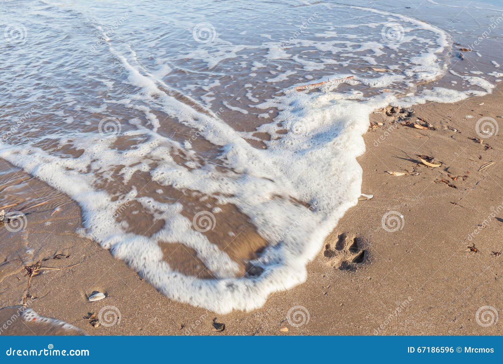 The Waves Lapping on Shoreline Beach Sand and Wash Out the Small Stock ...