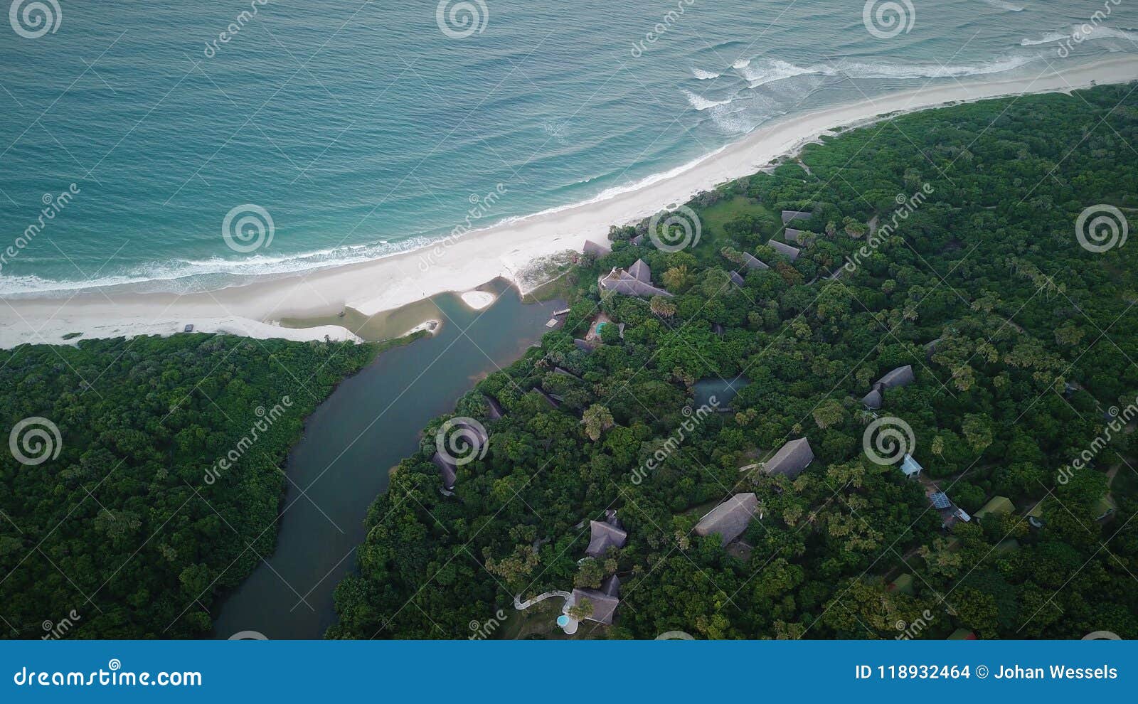 Waves meet forest stock photo. Image of beach, relax - 118932464