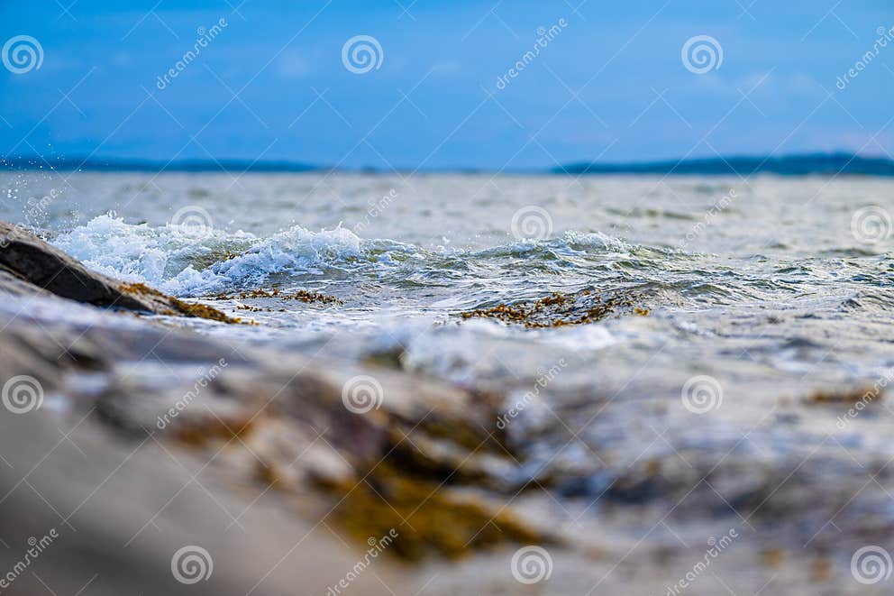 Waves Moving the Seaweed by a Seaside Cliff.. Stock Image - Image of ...