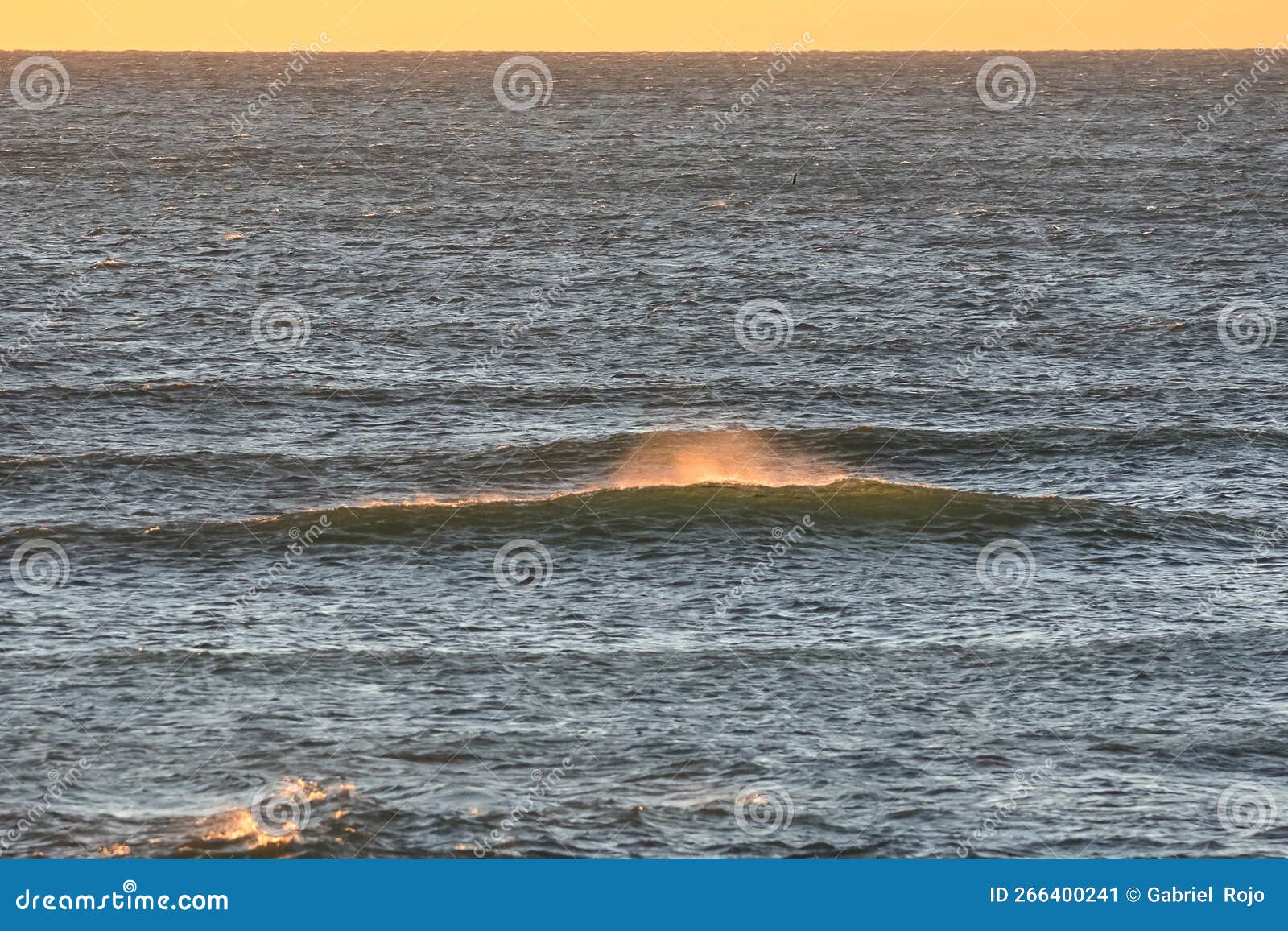 Waves in the Ocean, Patagonia, Stock Image - Image of wind, tide: 266400241