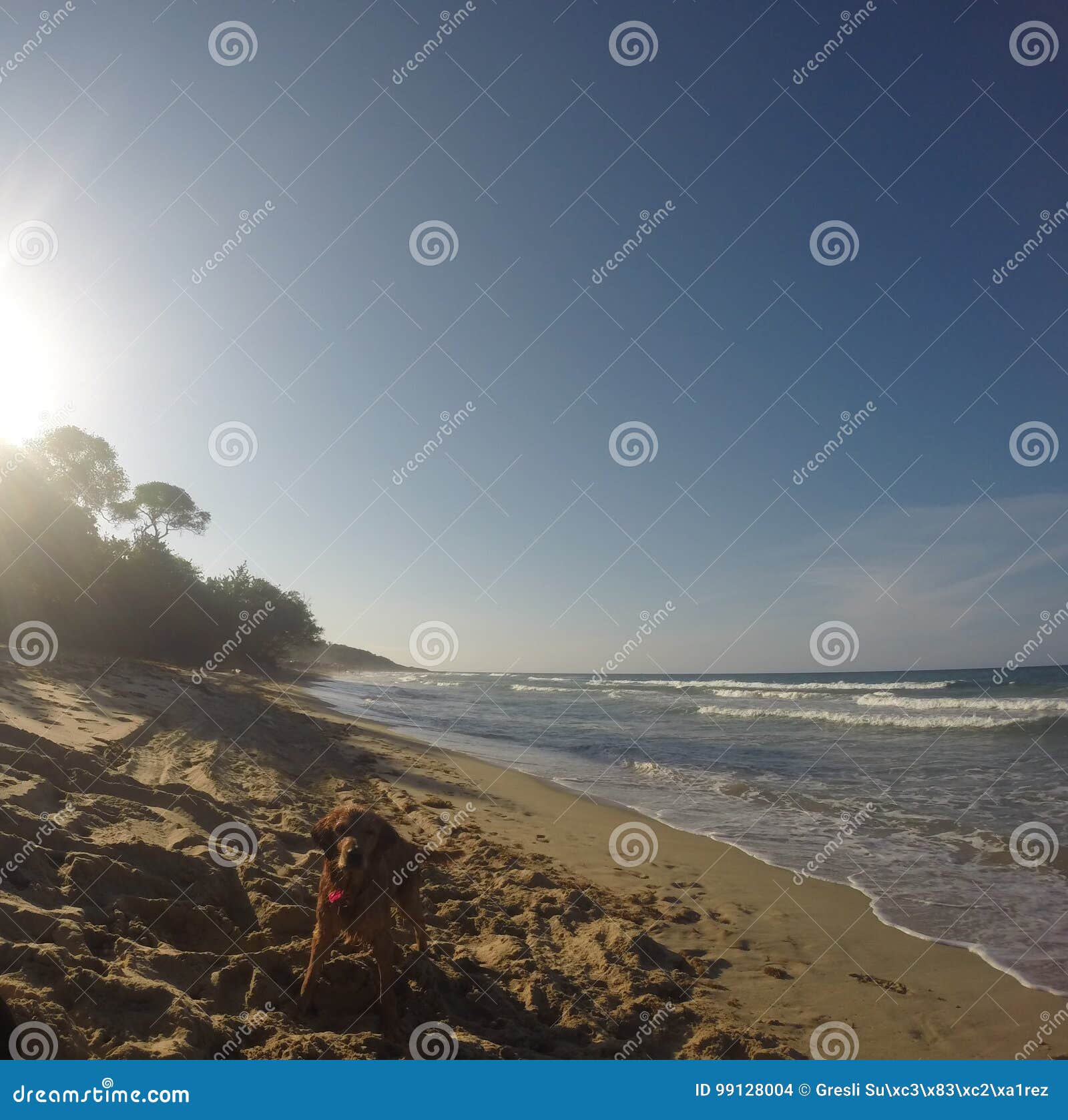 Waves and Peace in the Beach Stock Photo - Image of beach, relax: 99128004