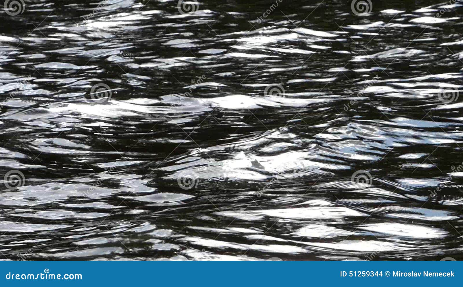 Waves on pond stock footage. Video of lake, ridge, detail - 51259344