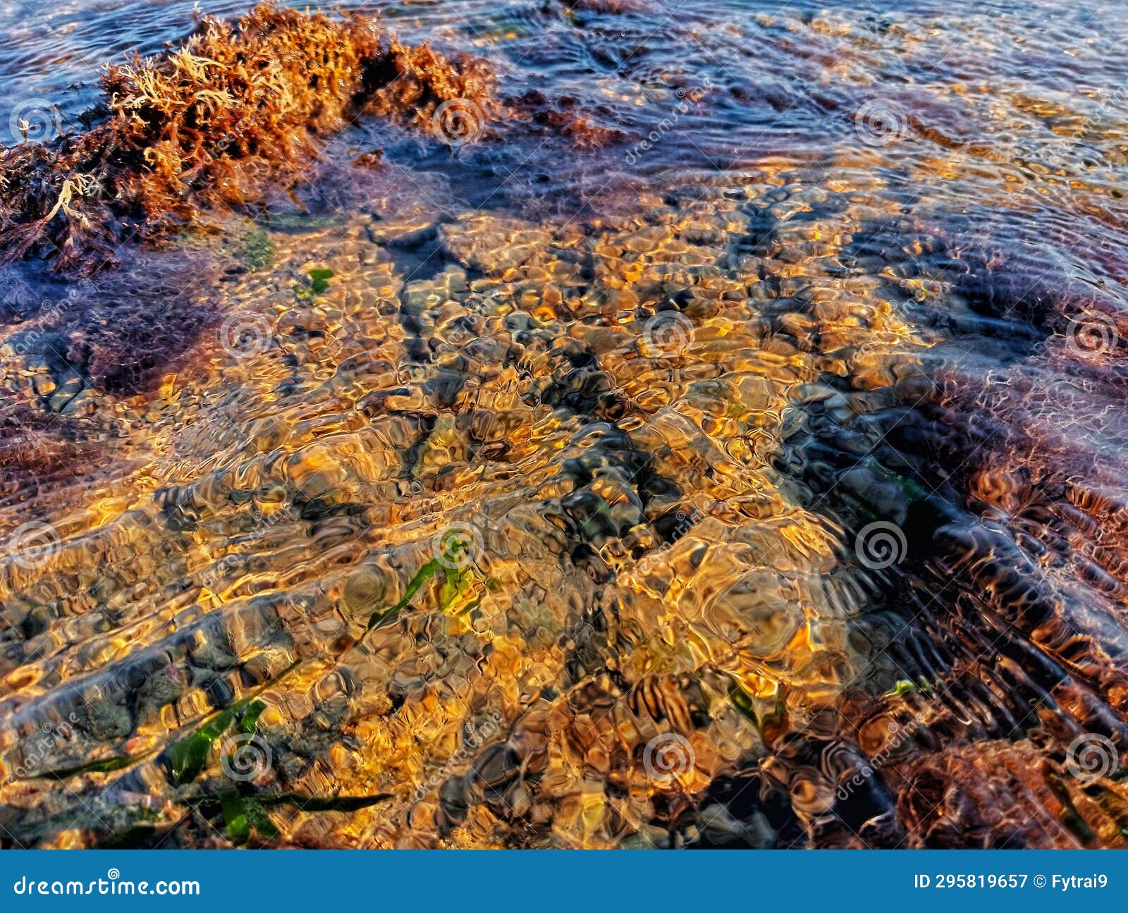 Waves Ripple Over Coral Reefs Stock Image - Image of ripple, reefs ...