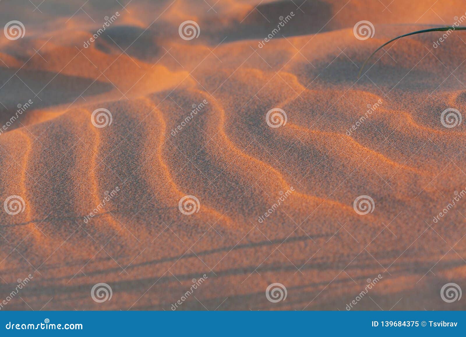Waves and Ripples on the Sand at Sunset. Stock Illustration ...