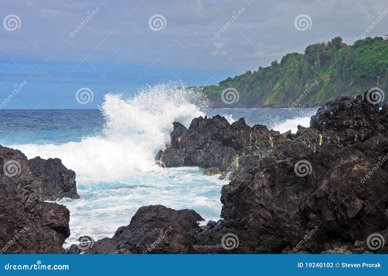 Waves on a Rocky Coast stock photo. Image of tropical - 19240102