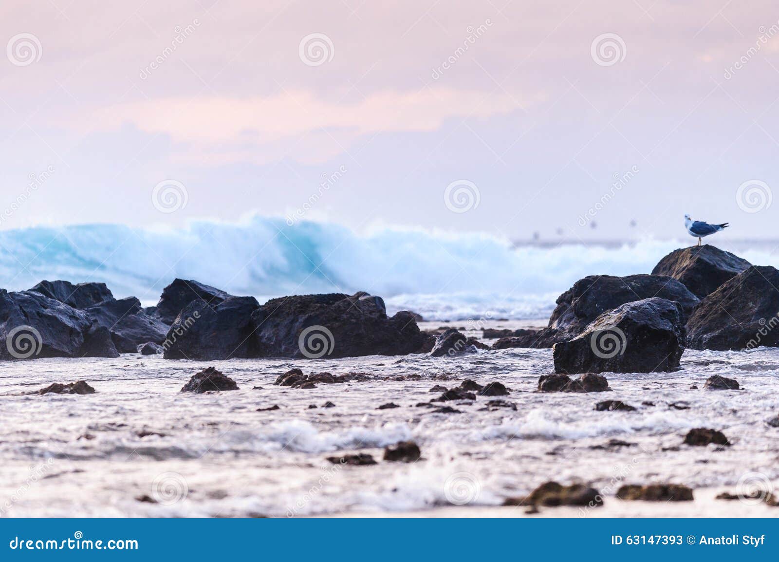 Waves on rocky shore stock image. Image of beach, flow - 63147393